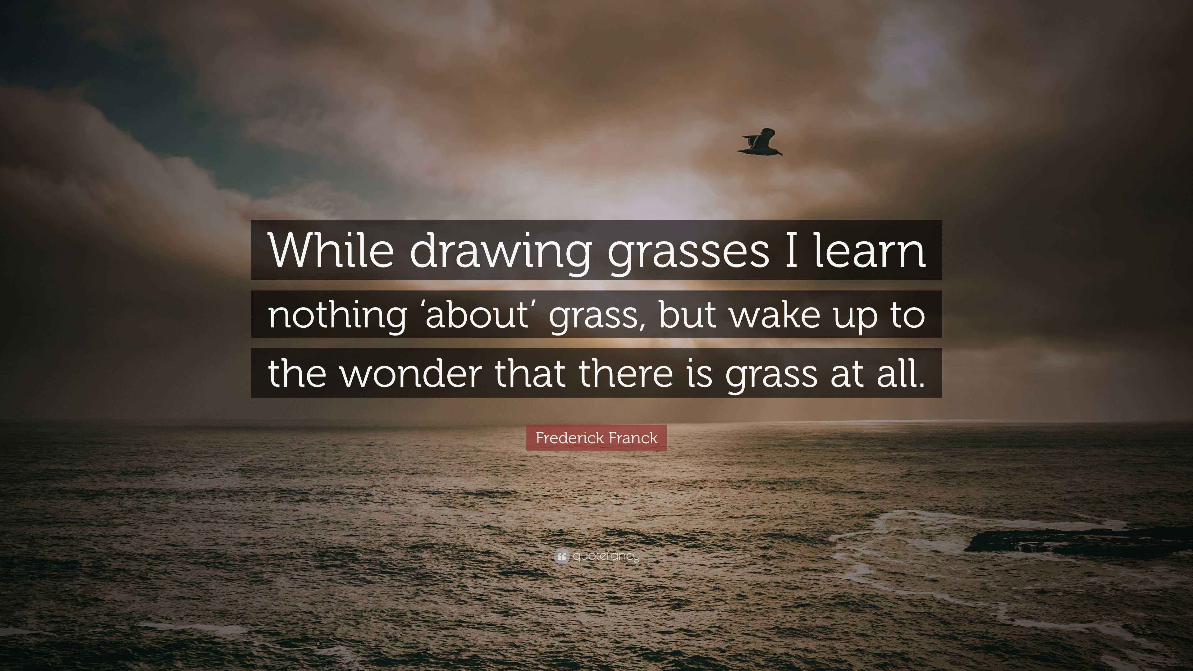 Frederick Franck Quote: “While drawing grasses I learn nothing ‘about ...