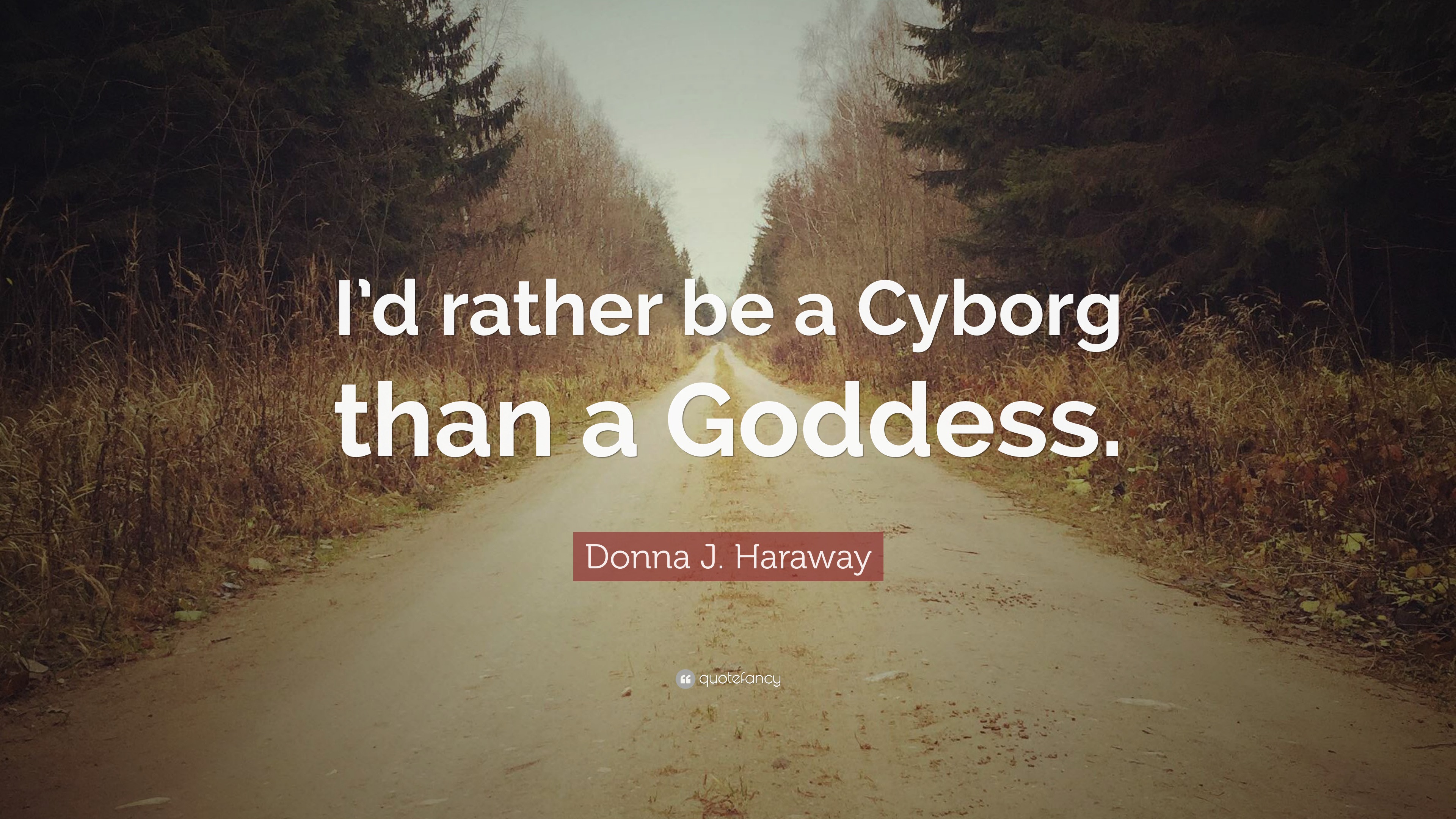 Donna J. Haraway Quote: “I’d rather be a Cyborg than a Goddess.”