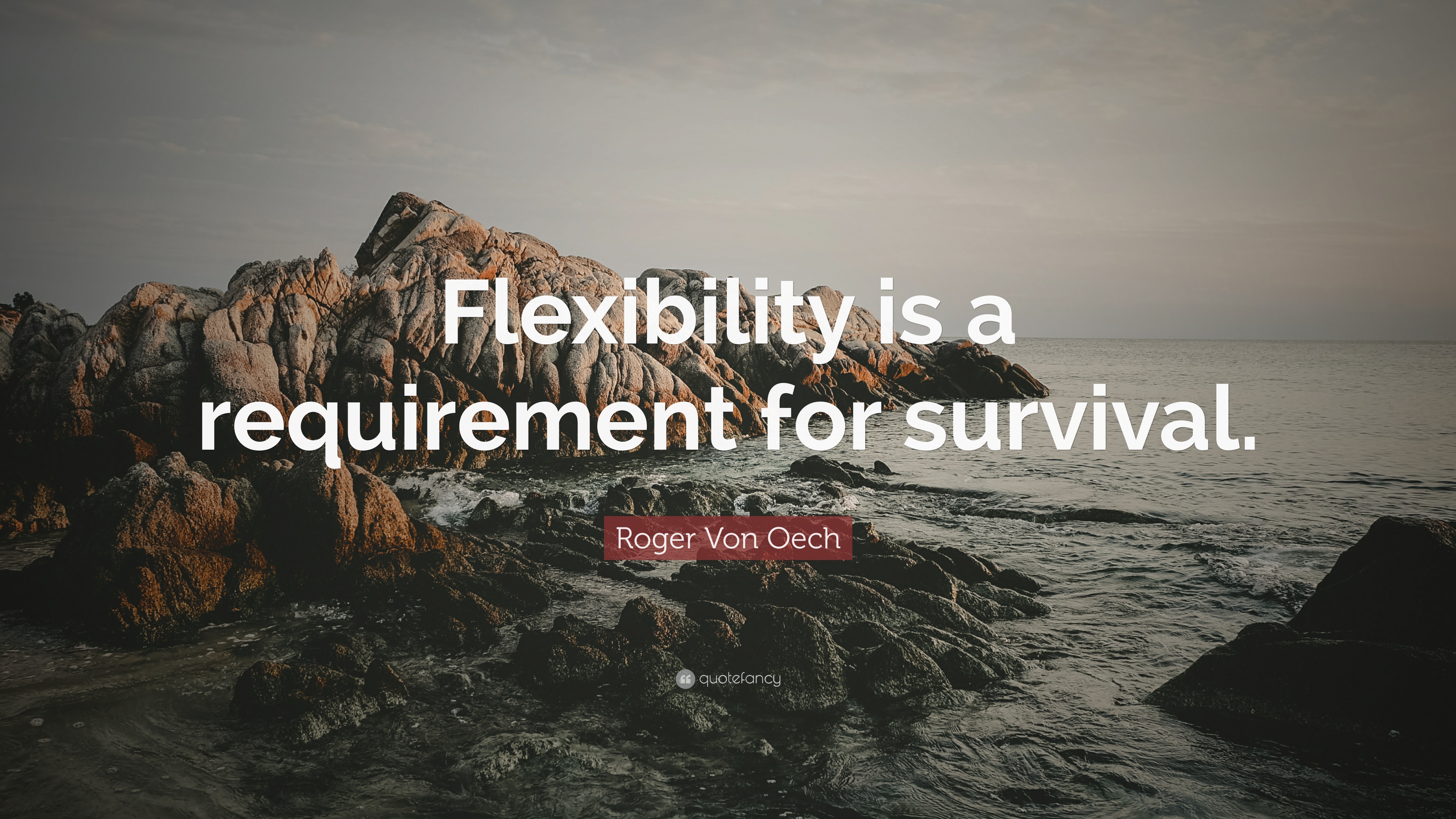 Roger Von Oech Quote: “Flexibility is a requirement for survival.”