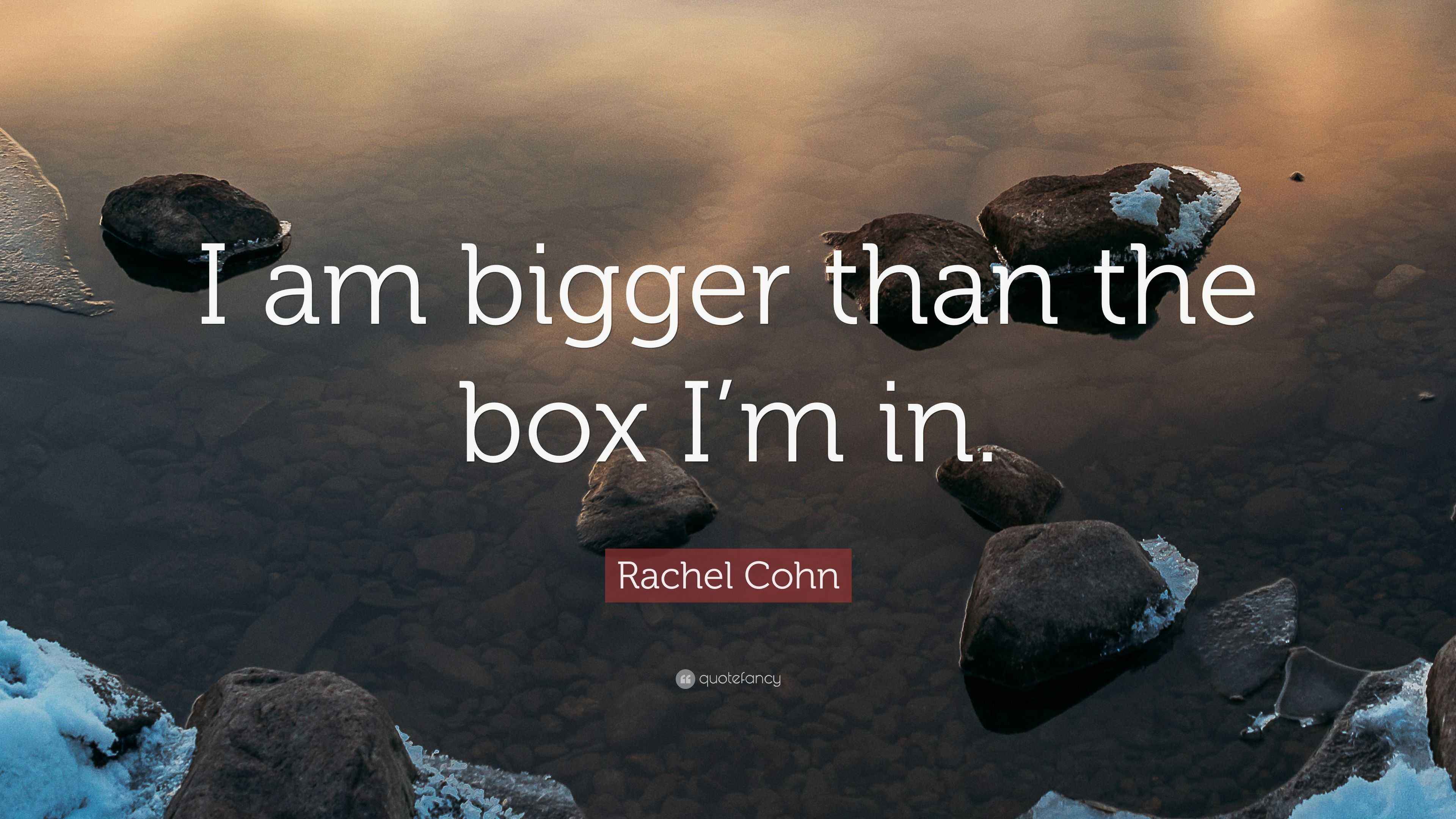 Rachel Cohn Quote: “I am bigger than the box I’m in.”