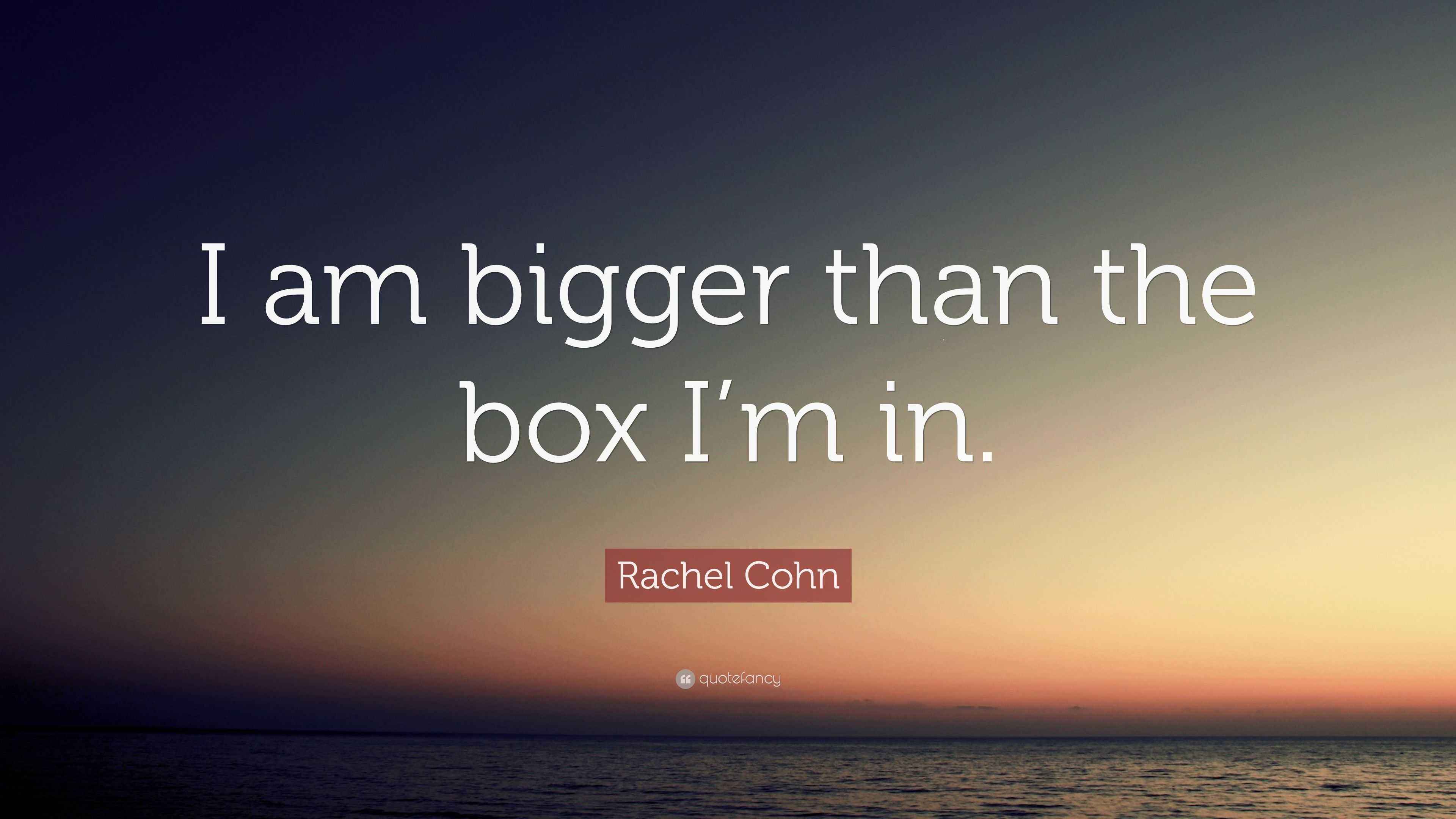 Rachel Cohn Quote: “I am bigger than the box I’m in.”