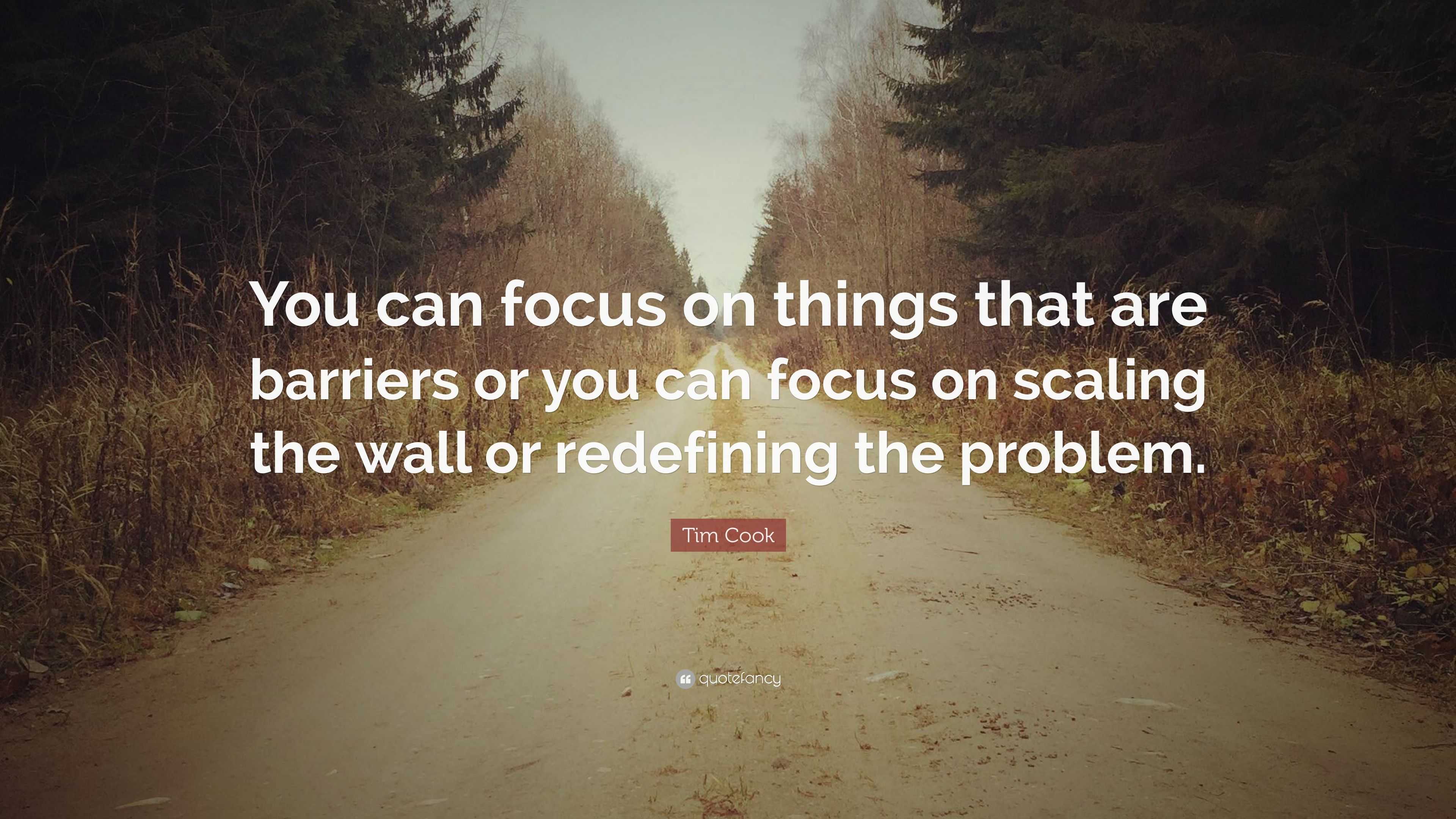 Tim Cook Quote: “You can focus on things that are barriers or you can ...