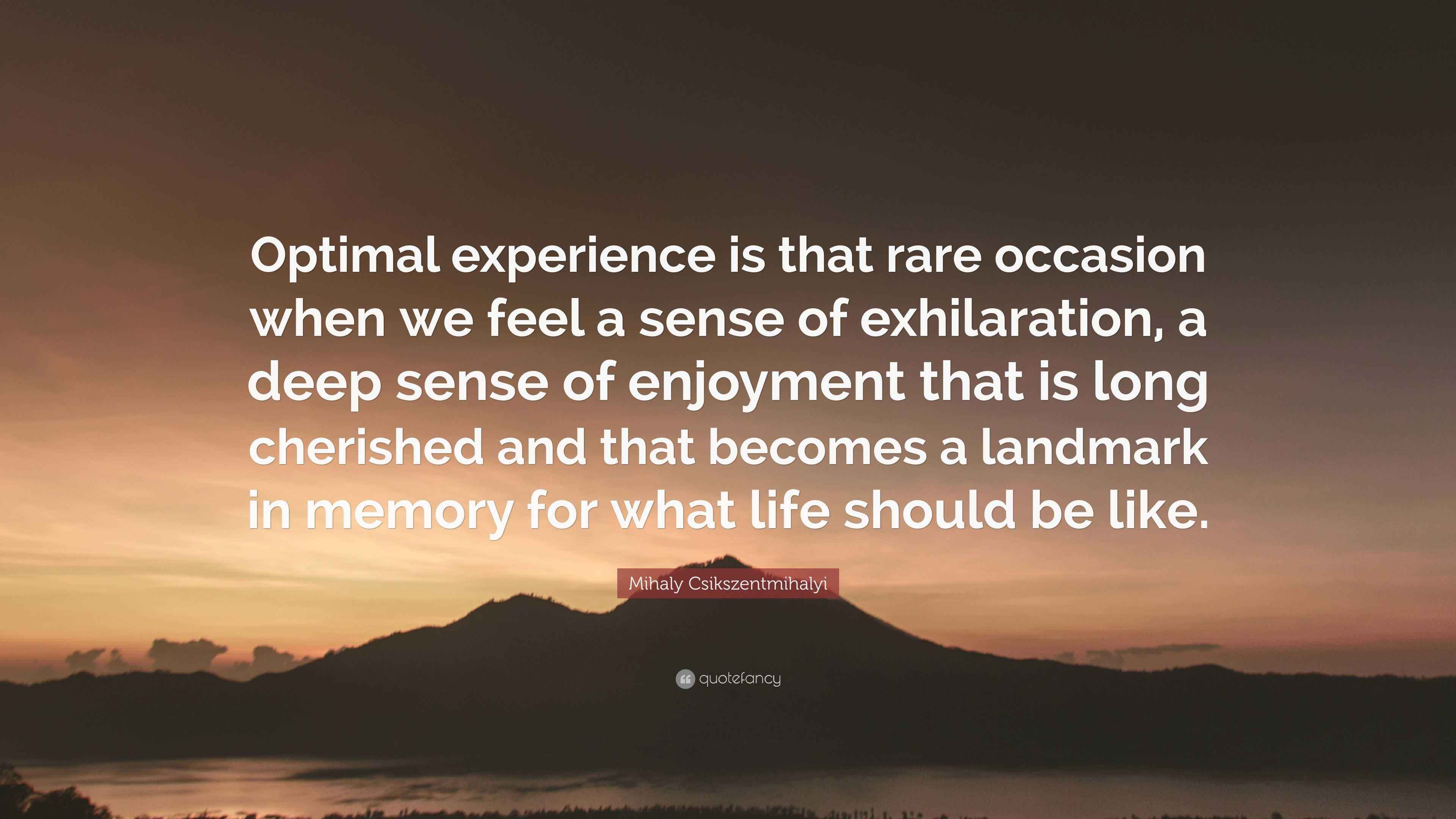 Mihaly Csikszentmihalyi Quote: “Optimal experience is that rare ...