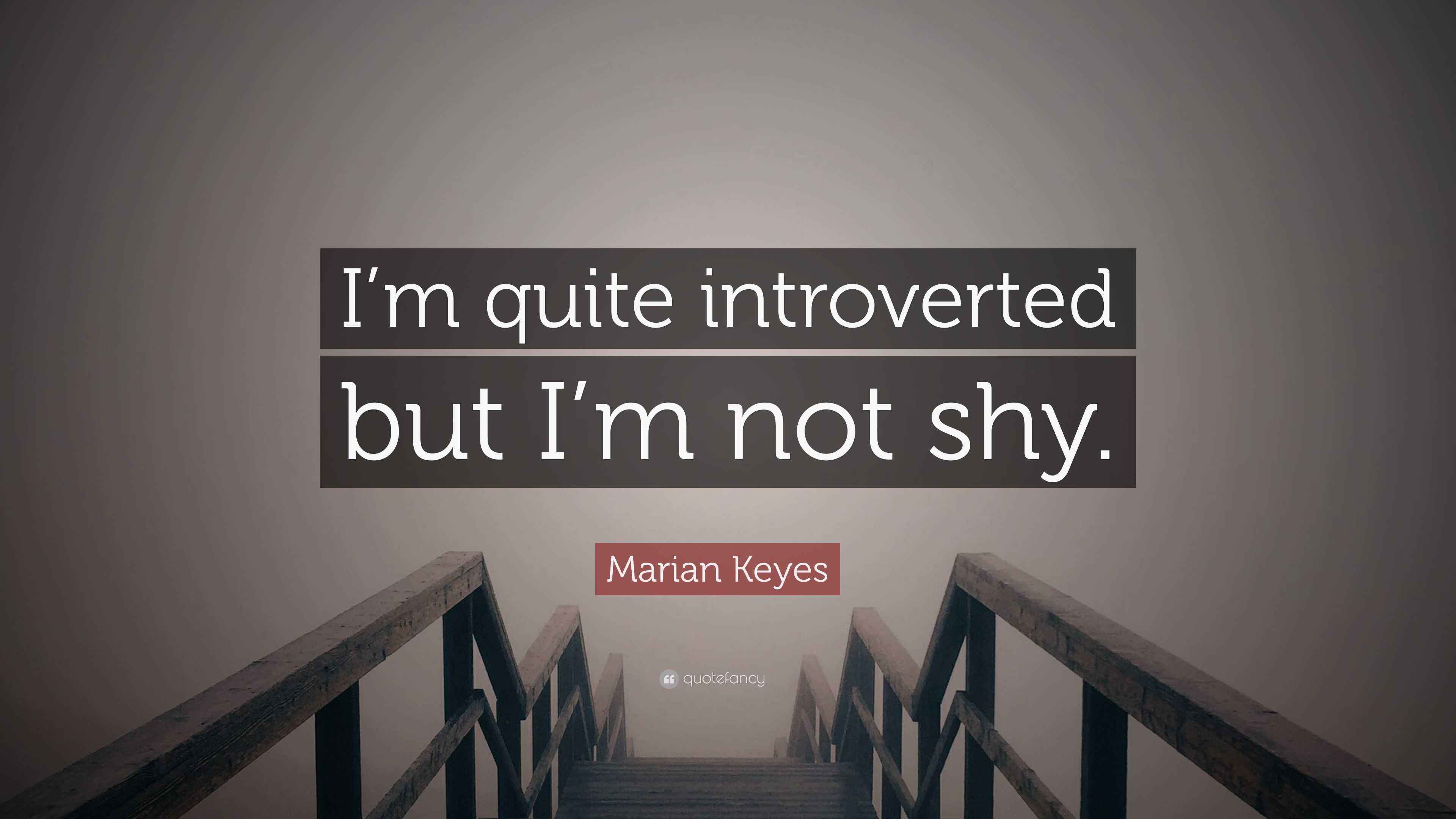 Marian Keyes Quote: “I’m quite introverted but I’m not shy.”