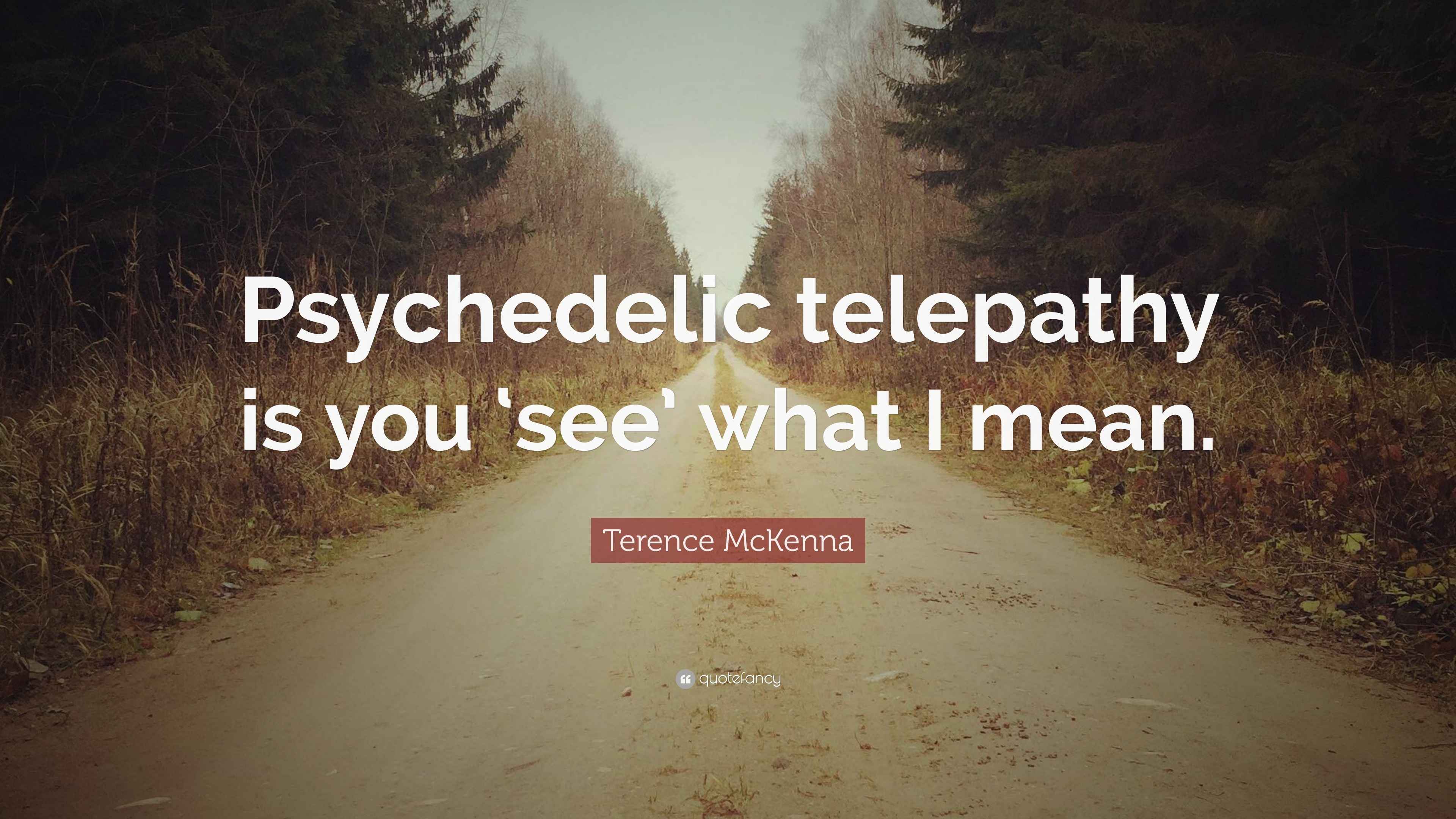 Terence McKenna Quote: “Psychedelic telepathy is you ‘see’ what I mean.”