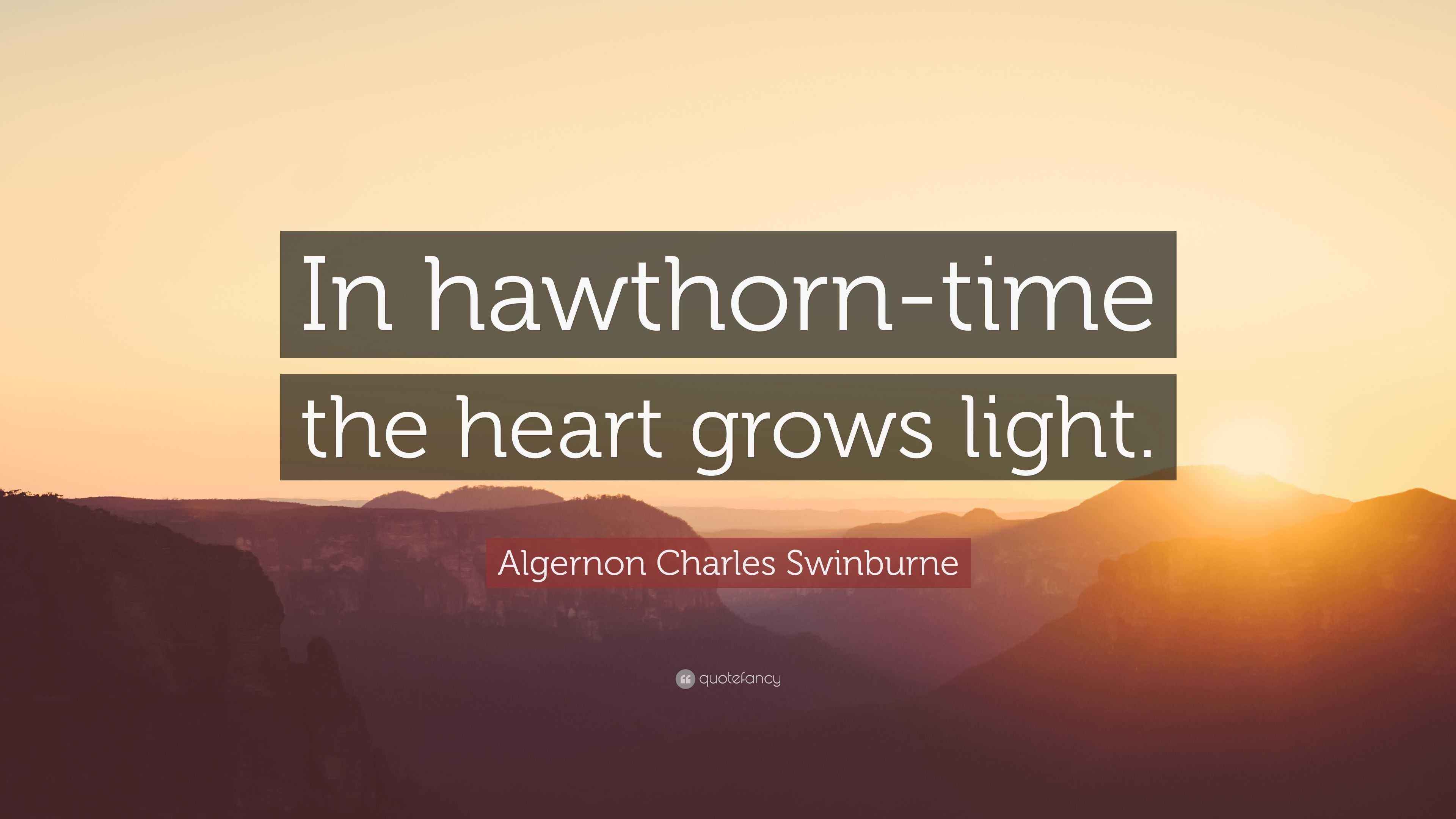 Algernon Charles Swinburne Quote: “In hawthorn-time the heart grows light.”