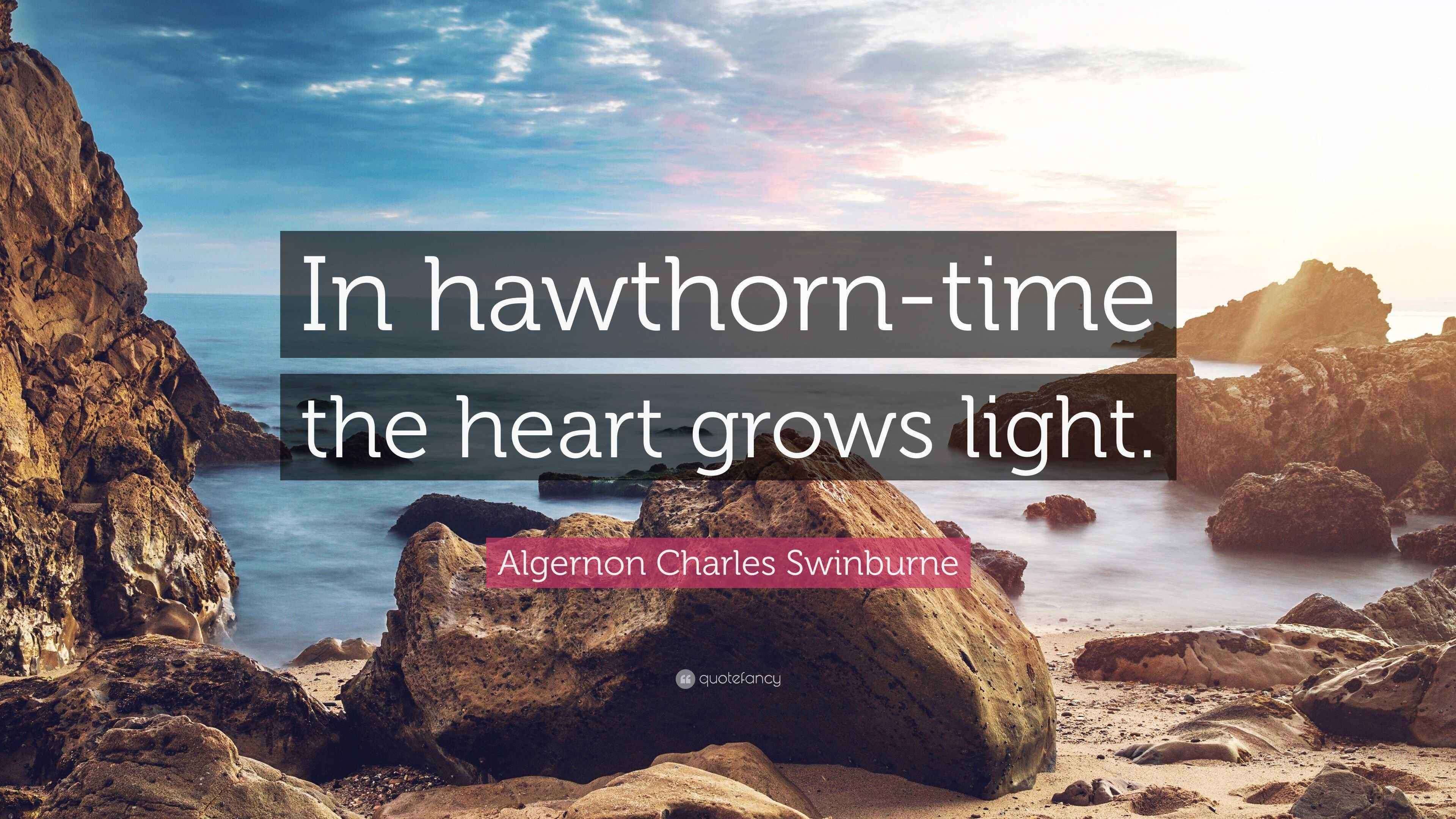 Algernon Charles Swinburne Quote: “In hawthorn-time the heart grows light.”