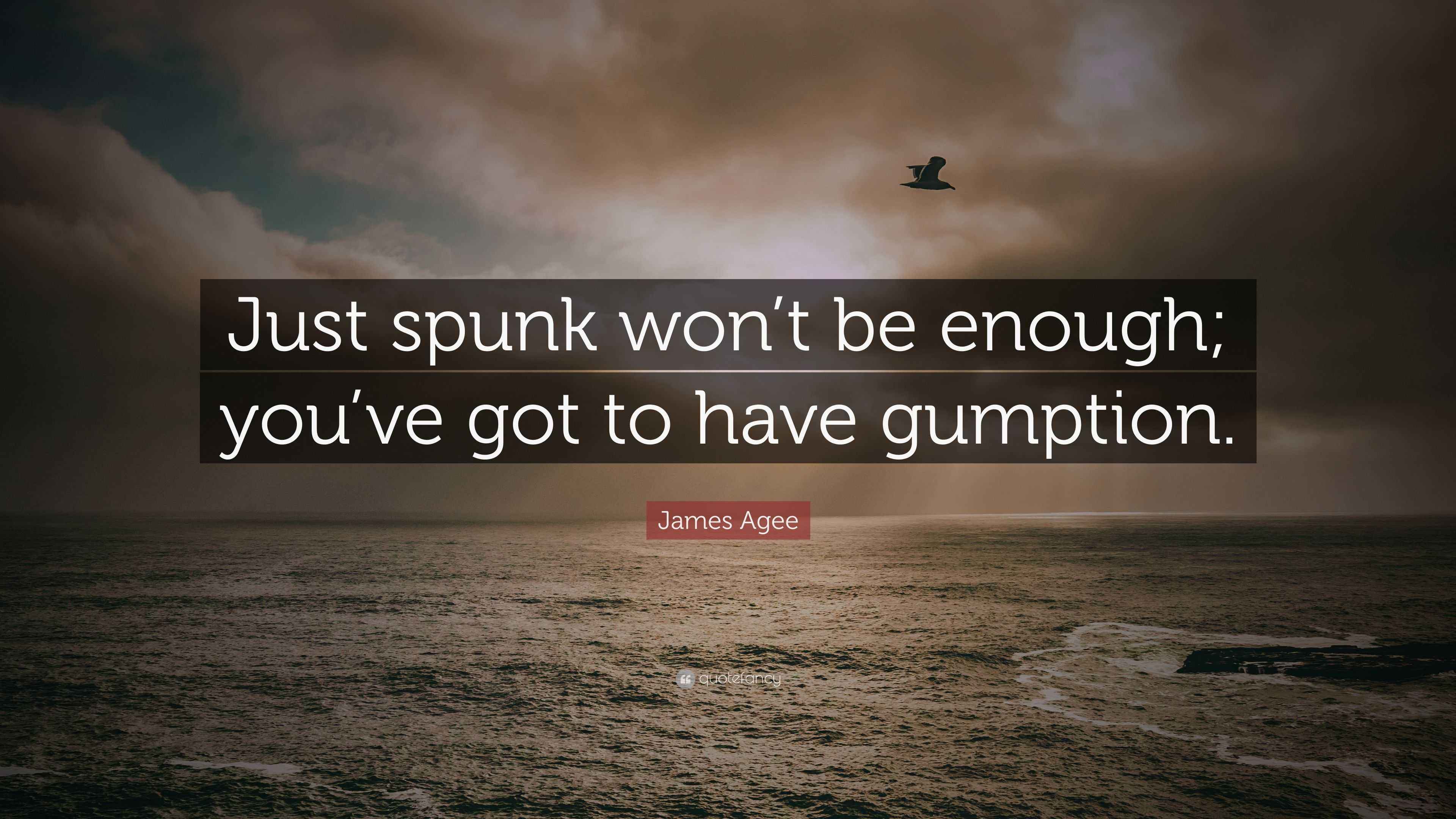 James Agee Quote: “Just spunk won’t be enough; you’ve got to have ...