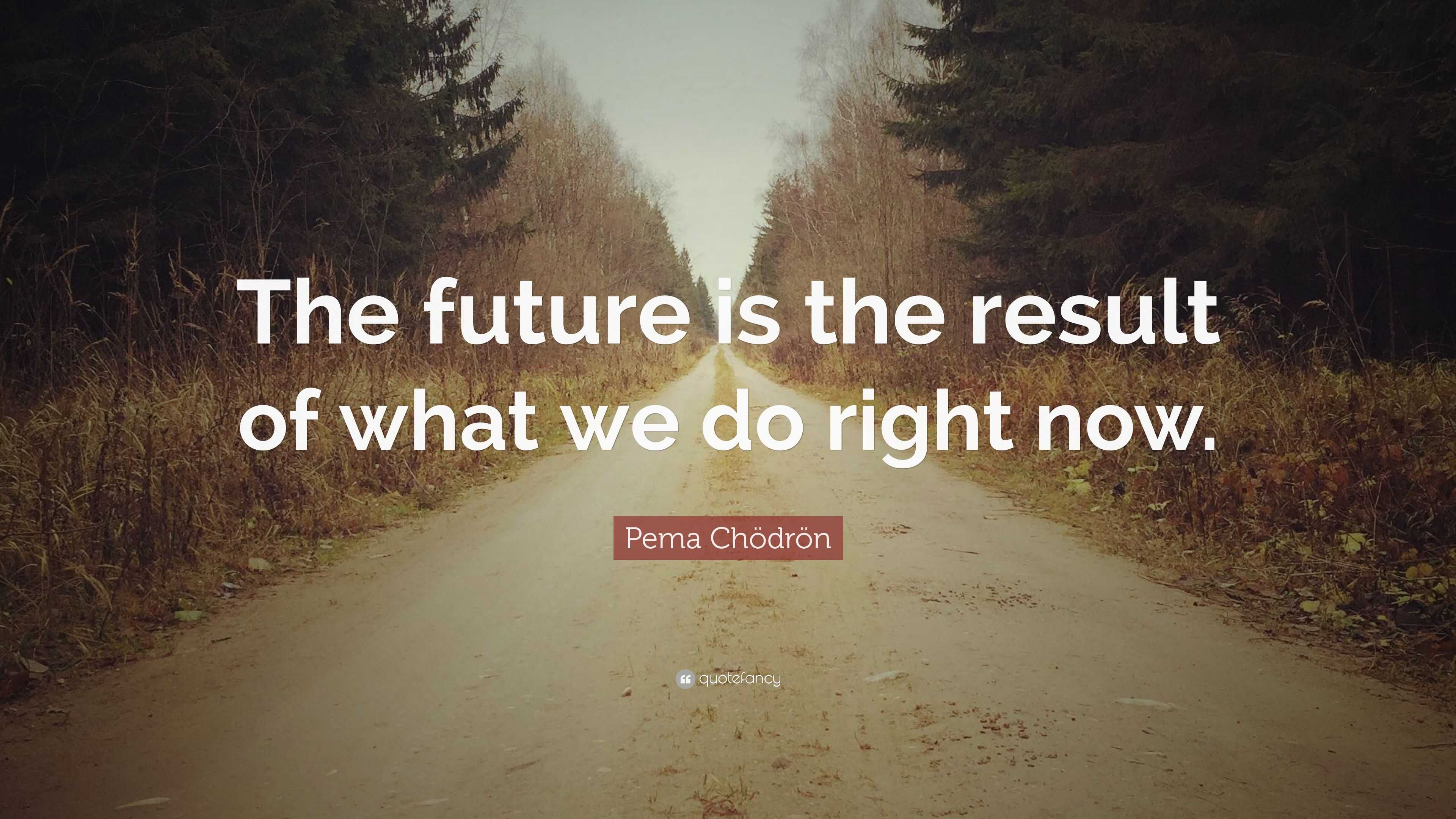 Pema Chödrön Quote: “The future is the result of what we do right now.”
