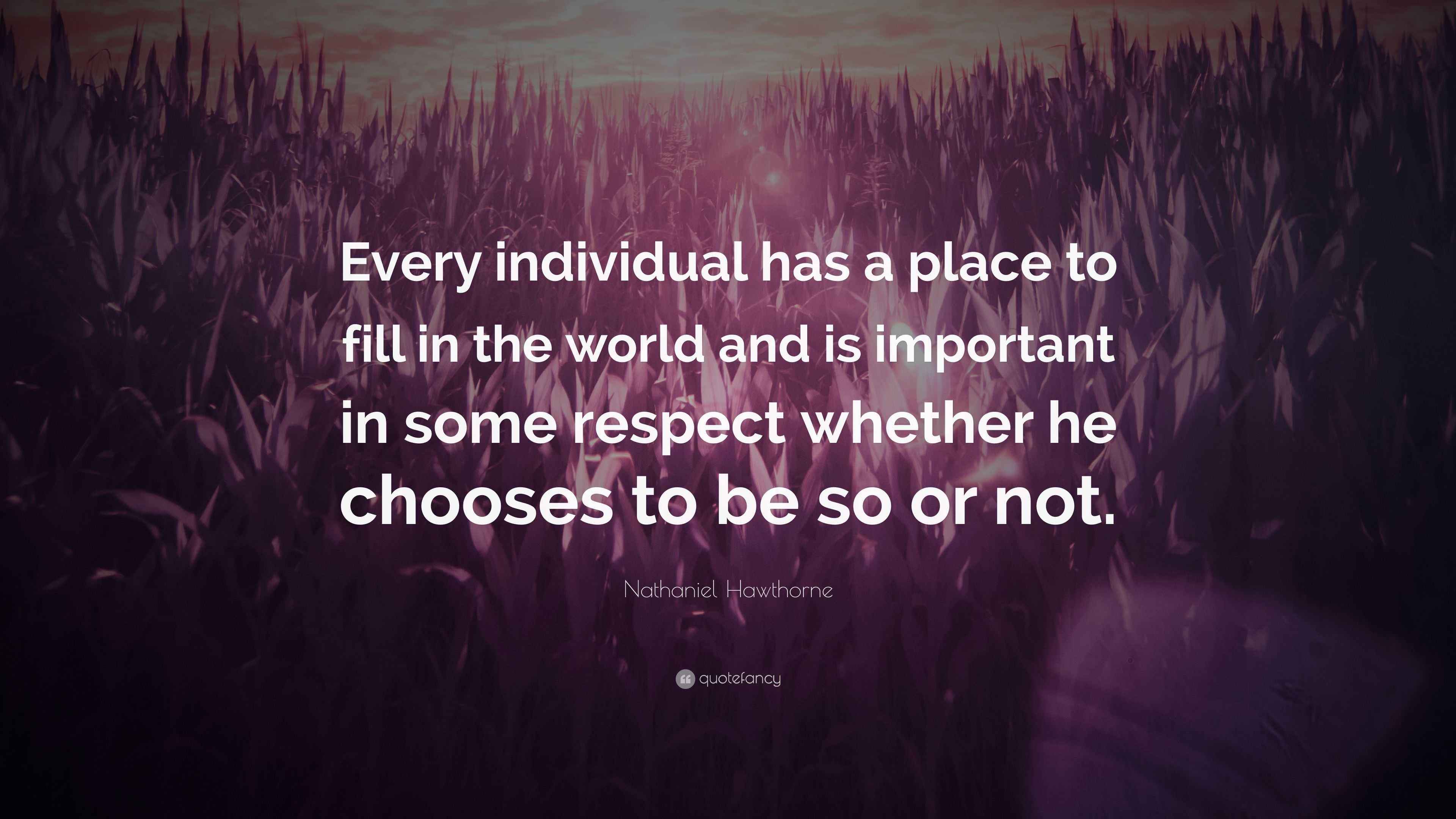 Nathaniel Hawthorne Quote: “Every individual has a place to fill in the ...