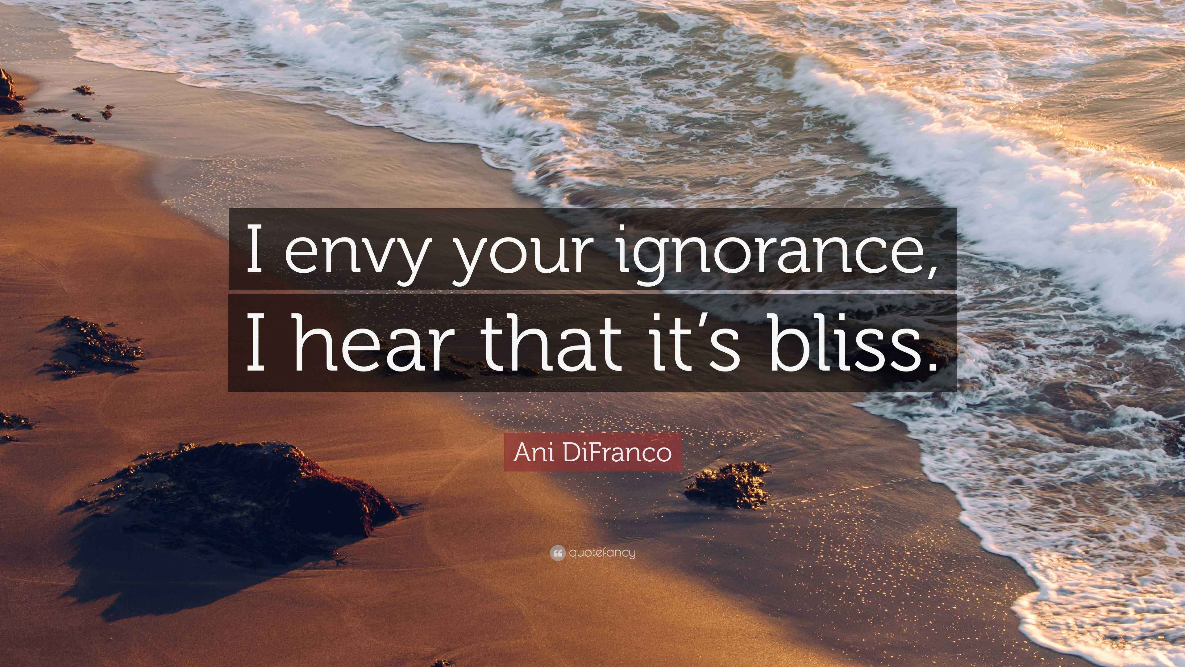 Ani DiFranco Quote: “I envy your ignorance, I hear that it’s bliss.”