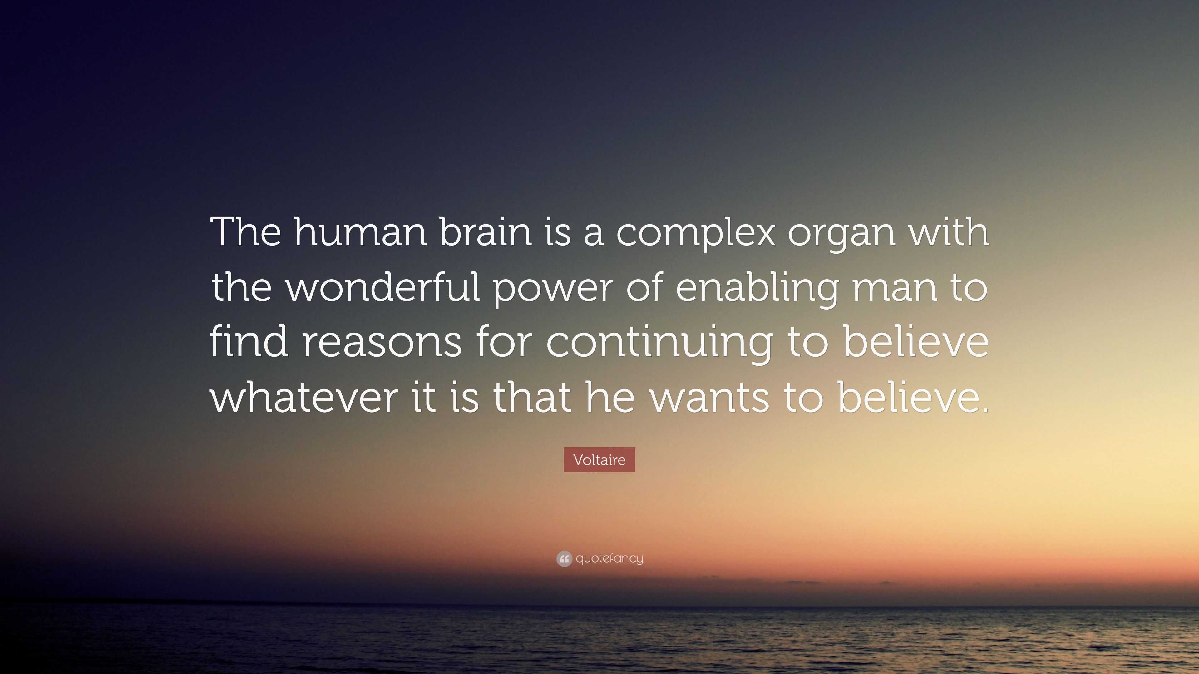 Voltaire Quote: “The human brain is a complex organ with the wonderful ...