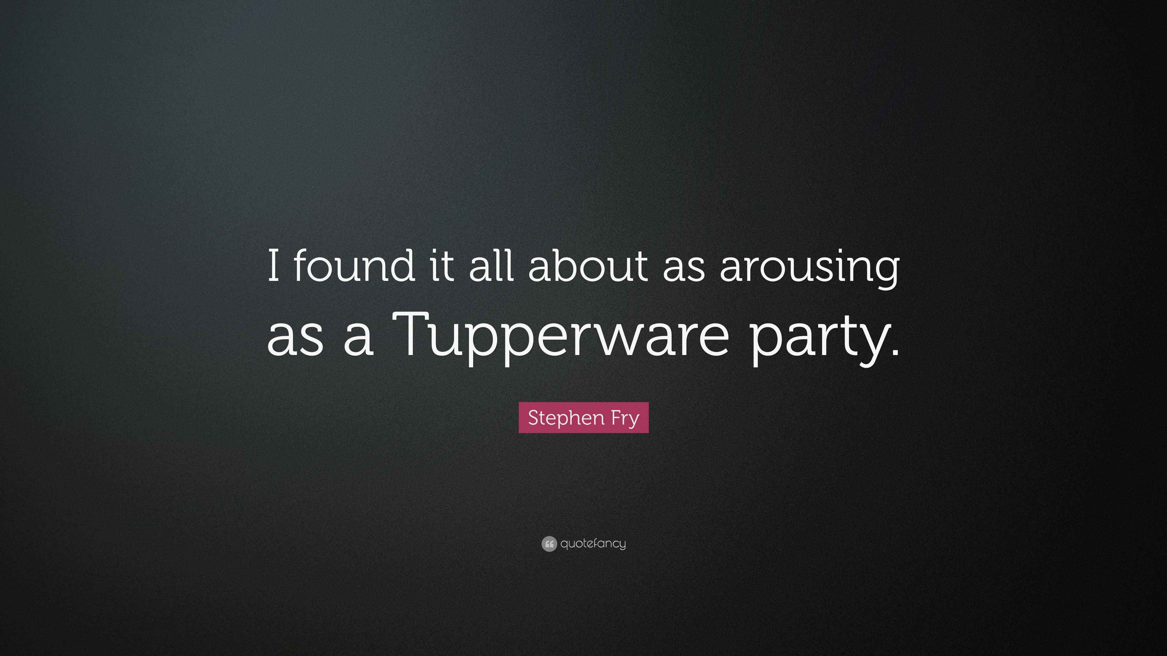 Stephen Fry Quote: “I found it all about as arousing as a Tupperware ...