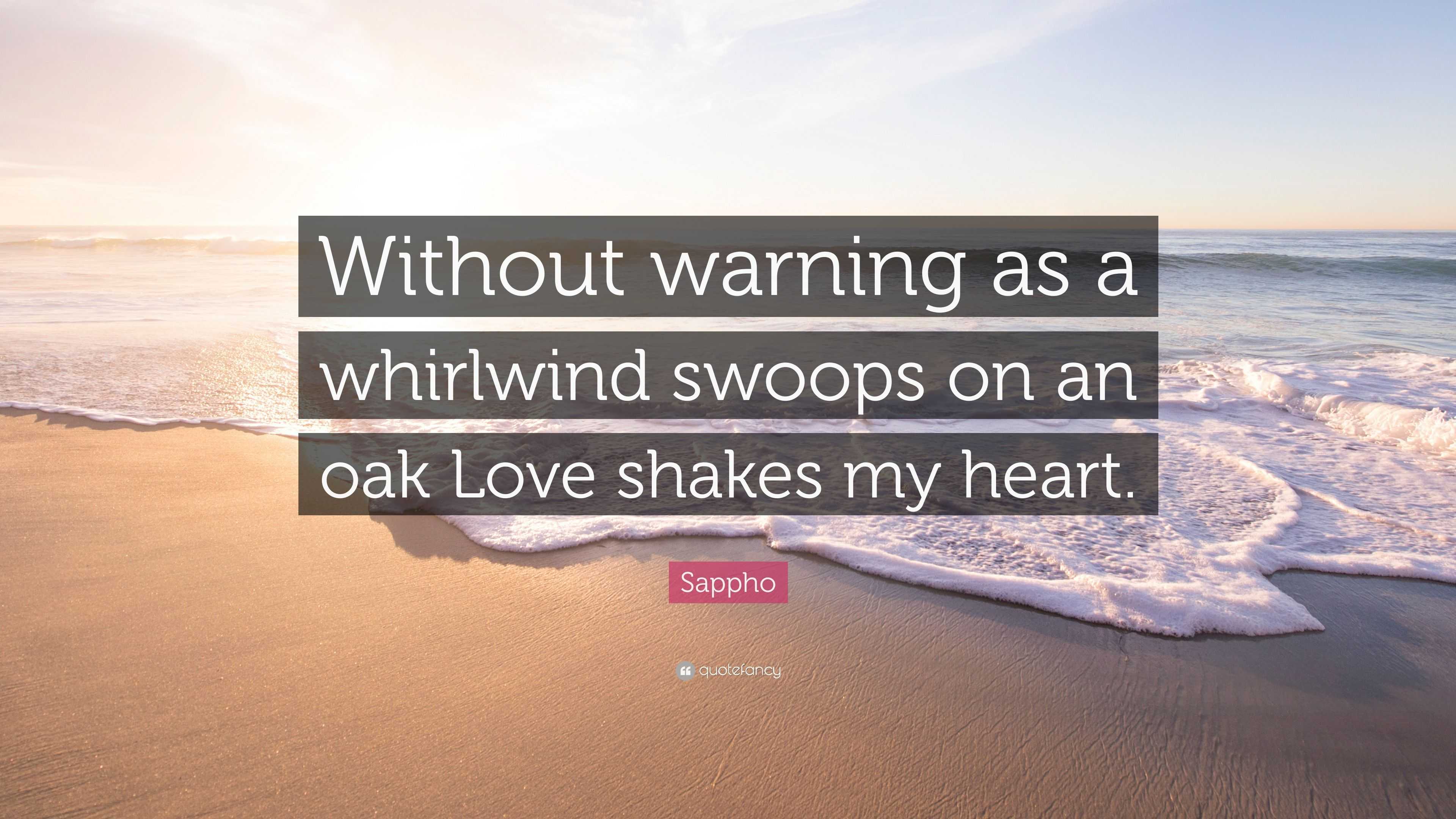 Sappho Quote: “Without warning as a whirlwind swoops on an oak Love ...