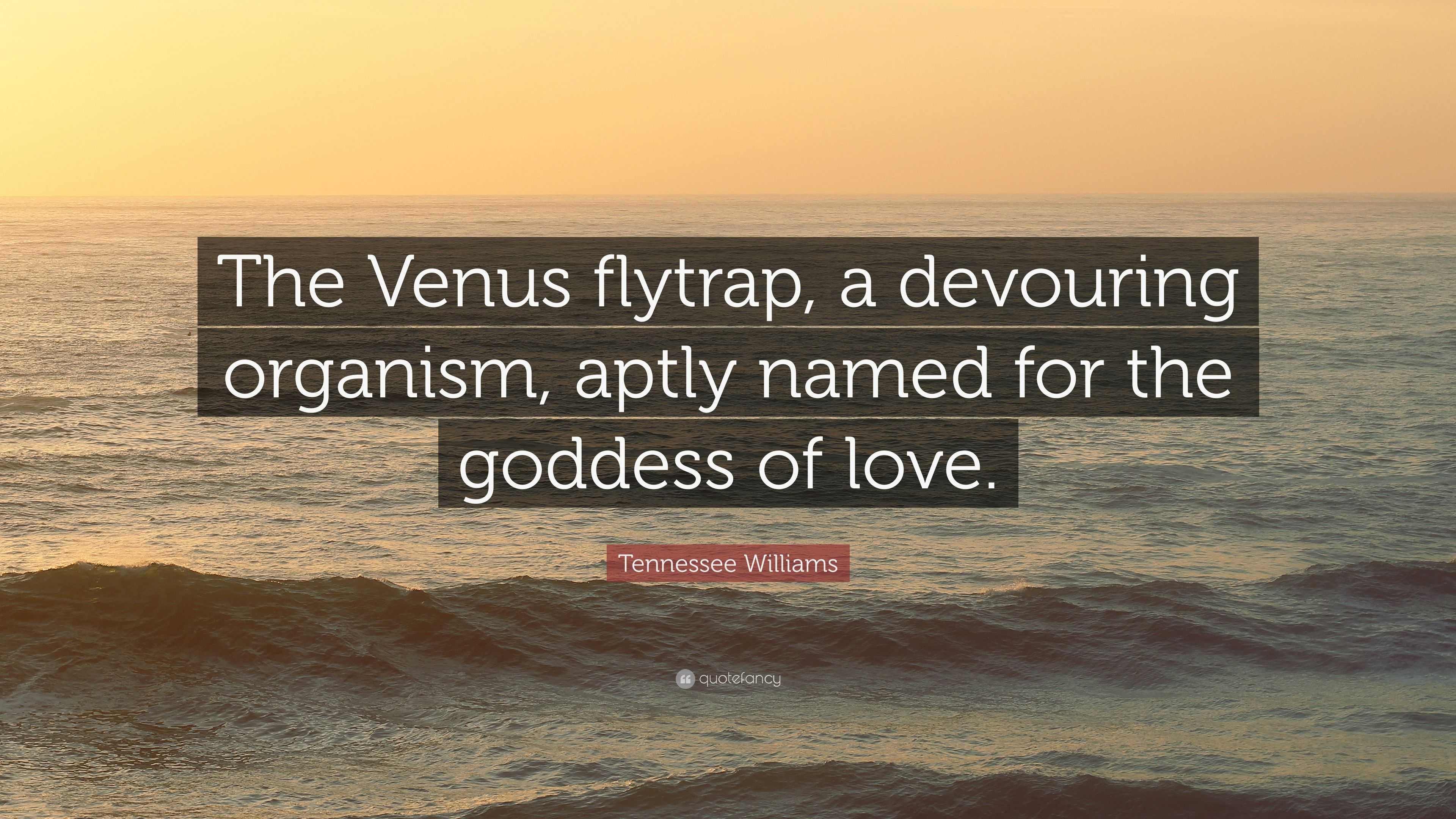 Tennessee Williams Quote: “The Venus flytrap, a devouring organism ...