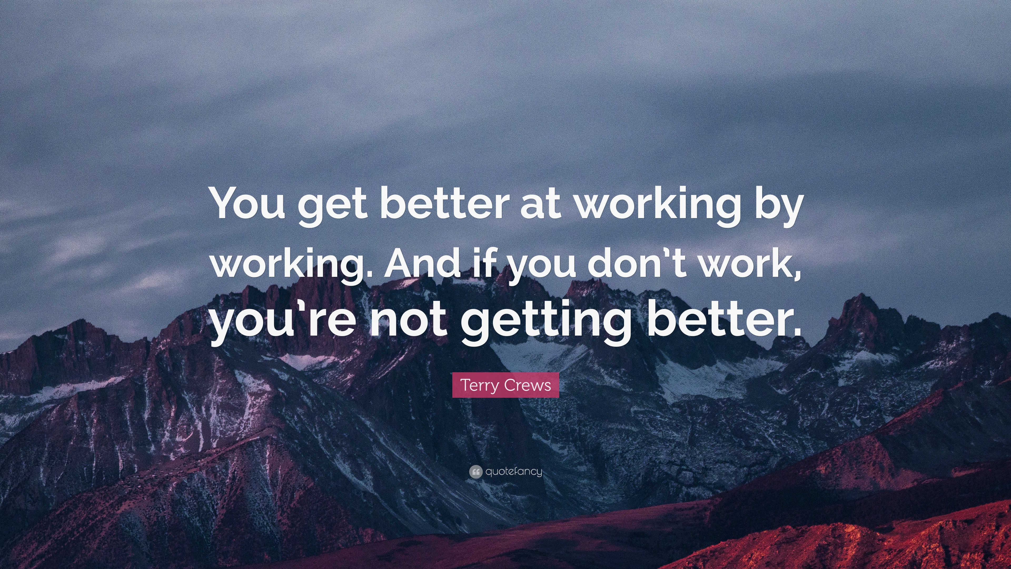 Terry Crews Quote: “You get better at working by working. And if you ...