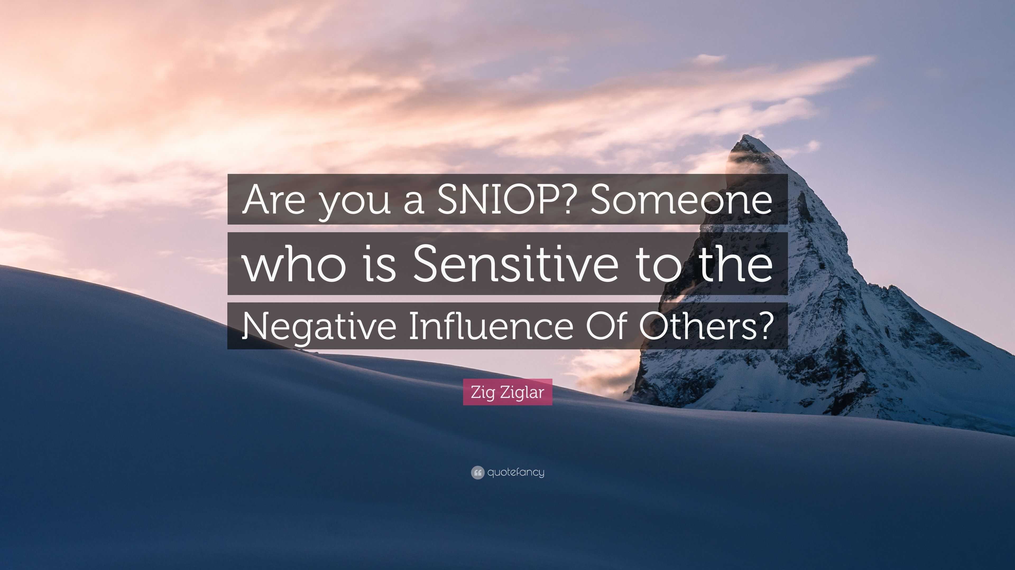 Zig Ziglar Quote: “Are you a SNIOP? Someone who is Sensitive to the ...
