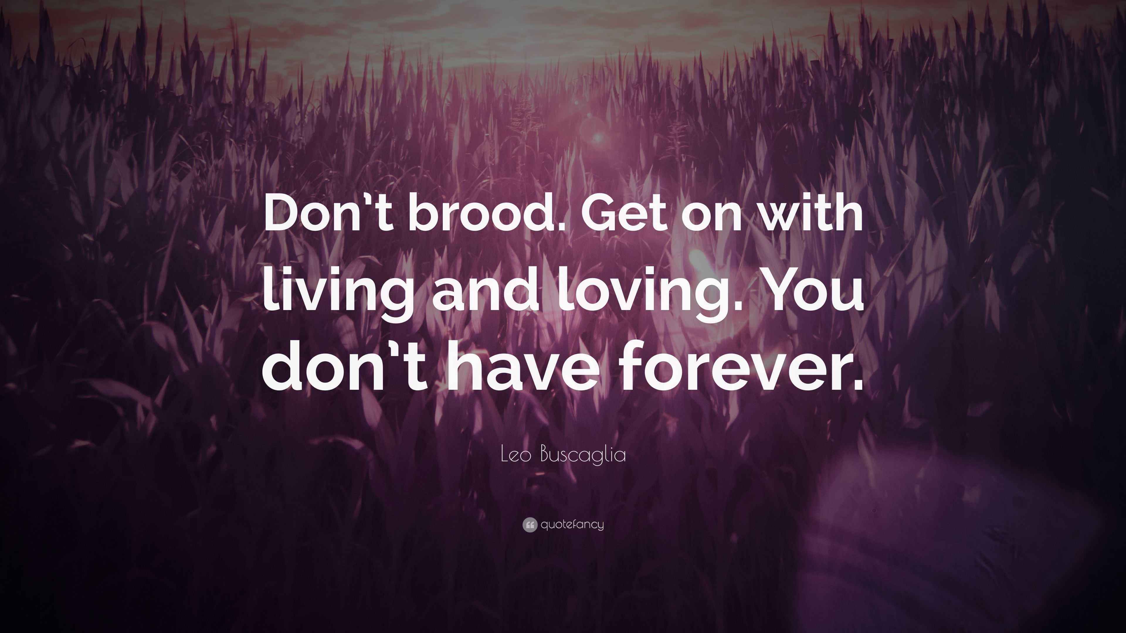 Leo Buscaglia Quote: “Don’t brood. Get on with living and loving. You ...