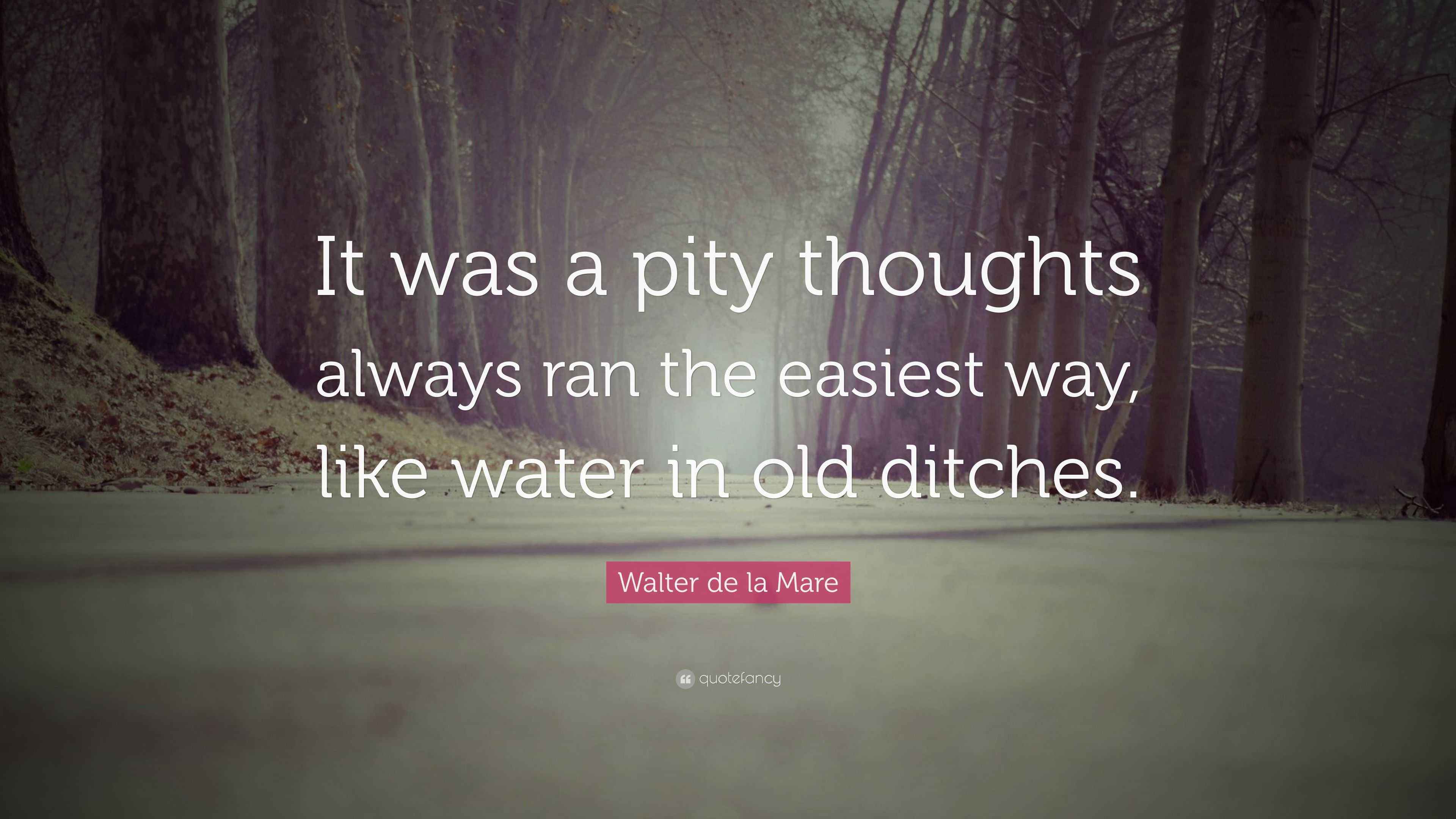 Walter de la Mare Quote: “It was a pity thoughts always ran the easiest ...