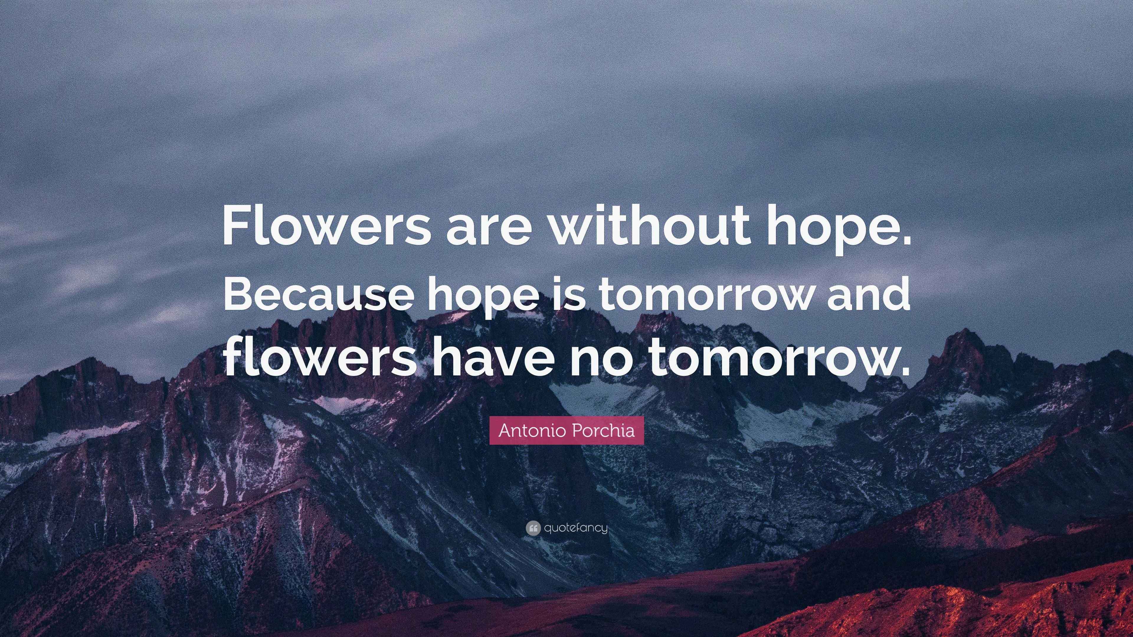 Antonio Porchia Quote: “Flowers are without hope. Because hope is ...