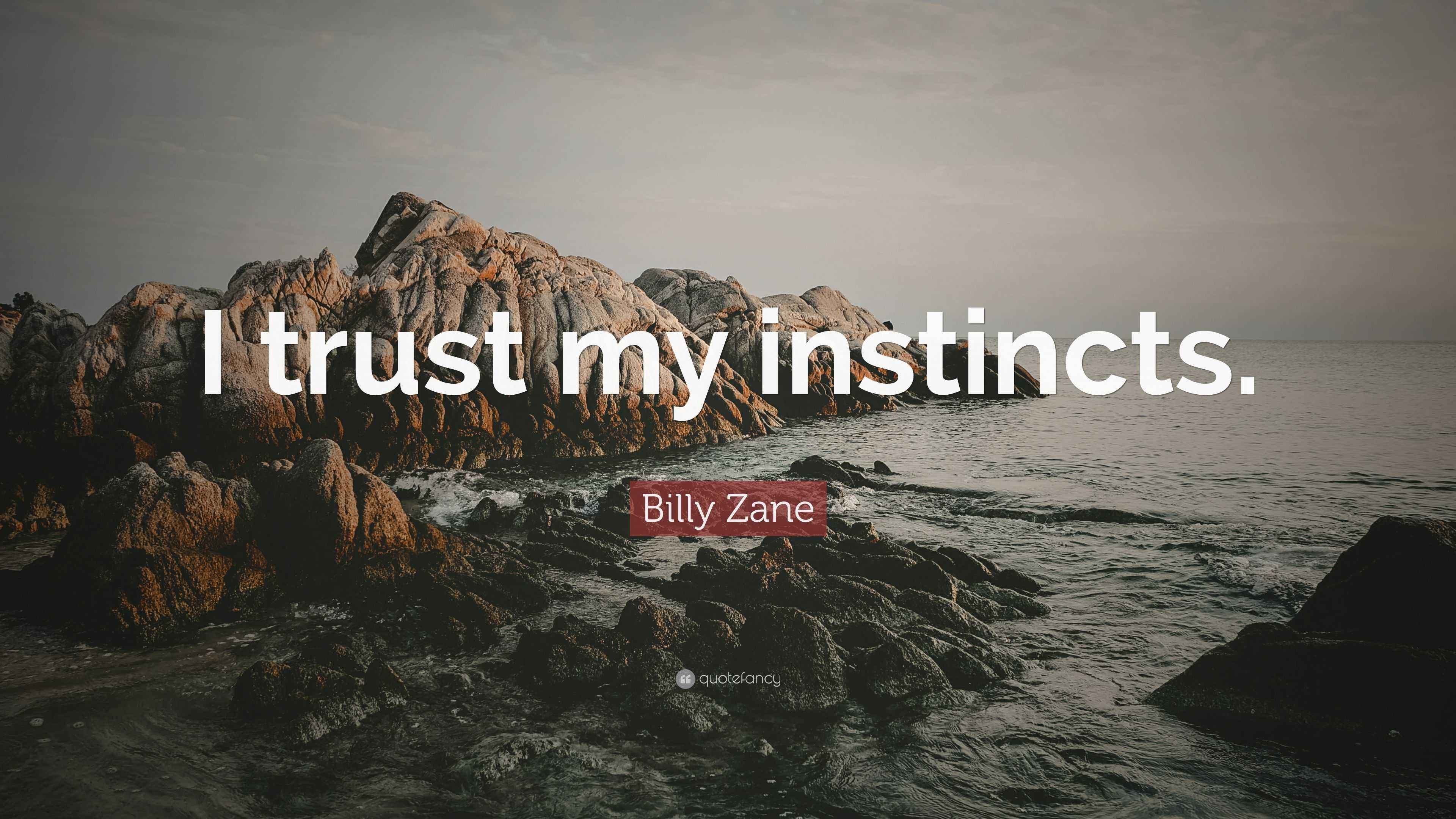 Billy Zane Quote: “I trust my instincts.”