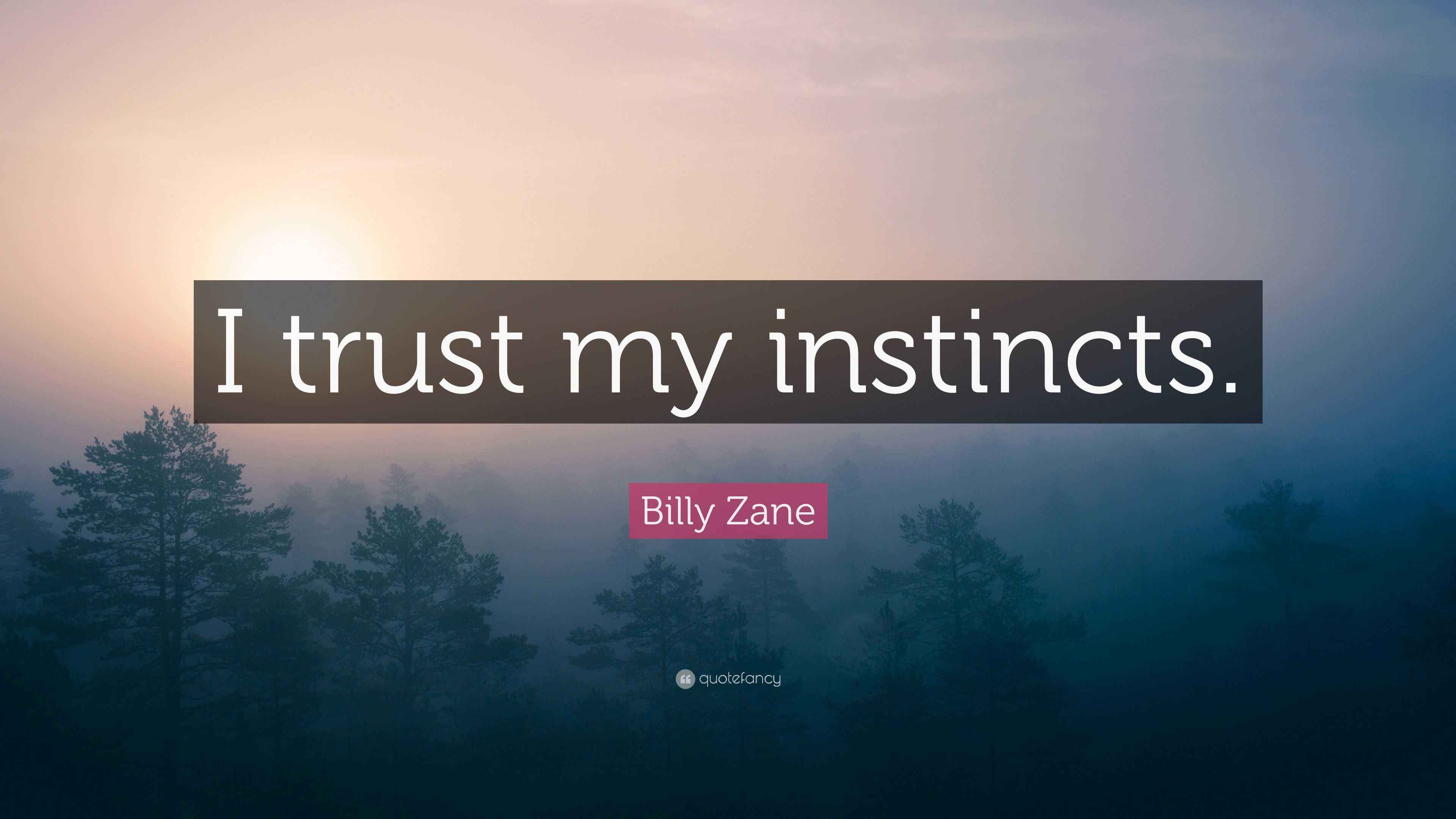 Billy Zane Quote: “I trust my instincts.”