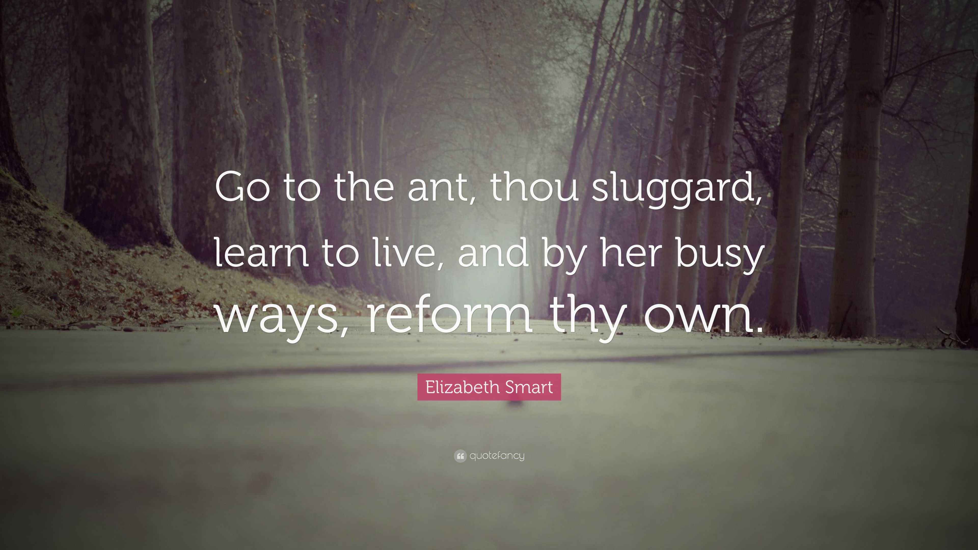 Elizabeth Smart Quote: “Go to the ant, thou sluggard, learn to live ...