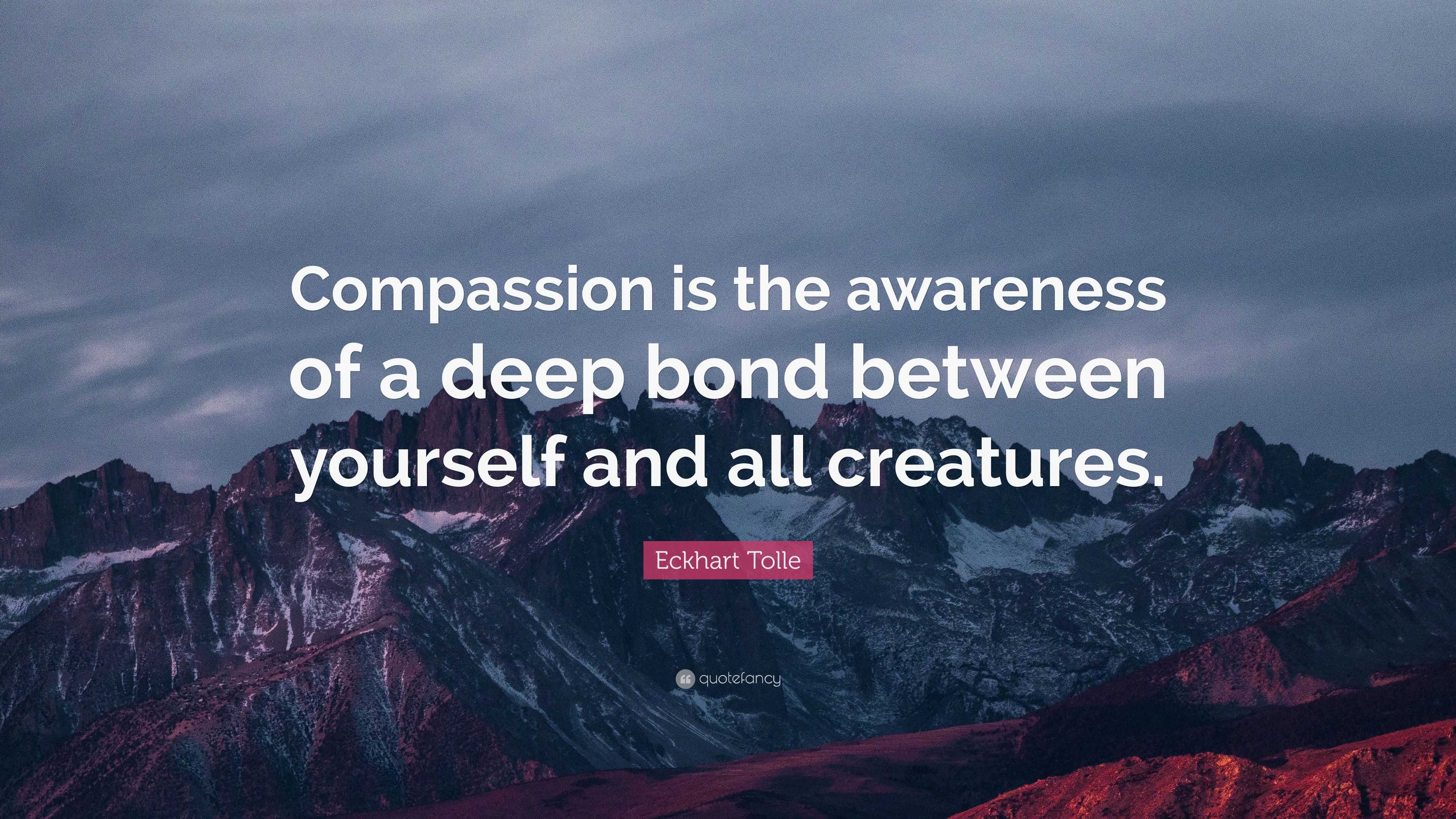 Eckhart Tolle Quote: “Compassion is the awareness of a deep bond ...
