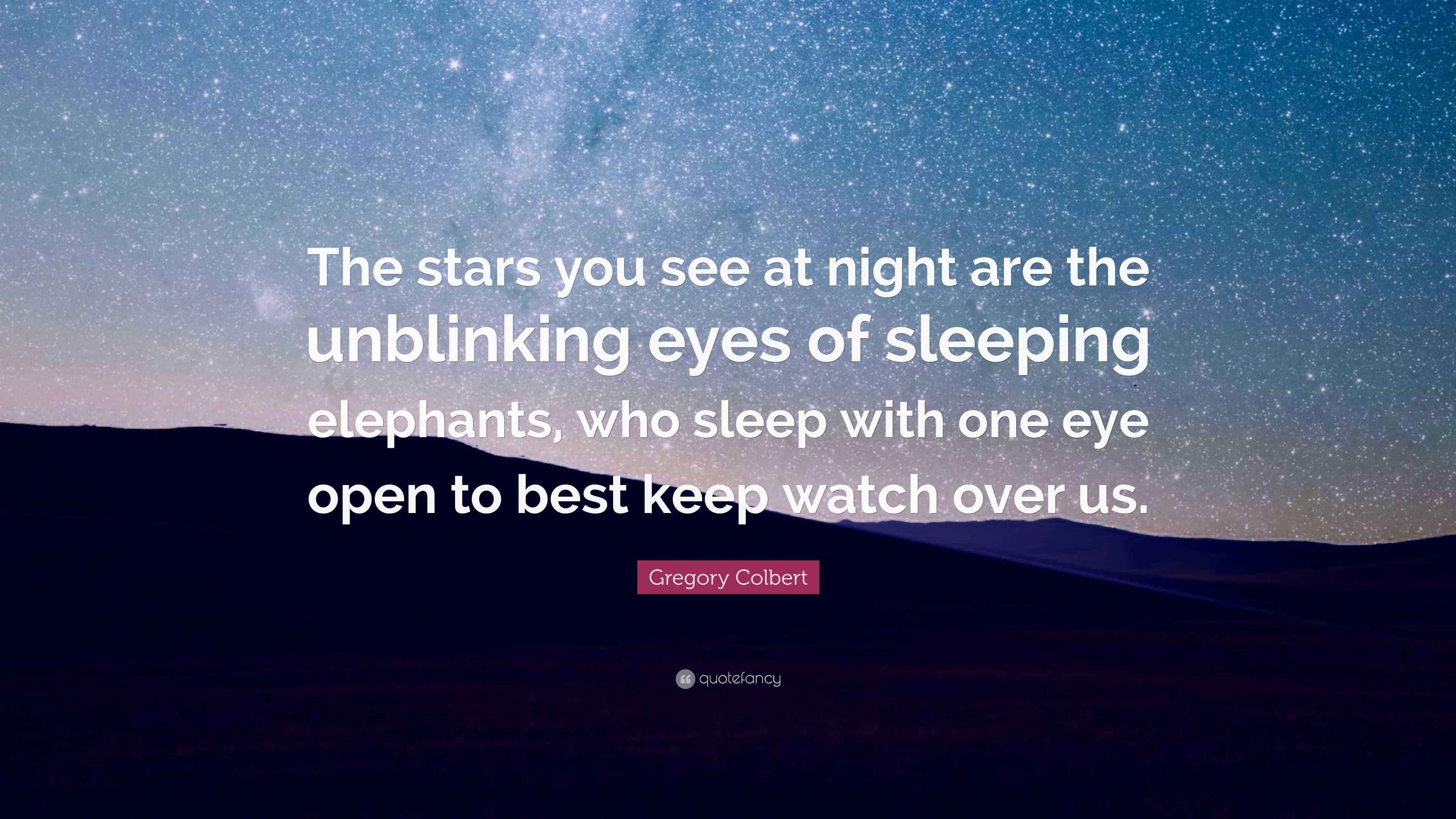 Gregory Colbert Quote: “The stars you see at night are the unblinking ...