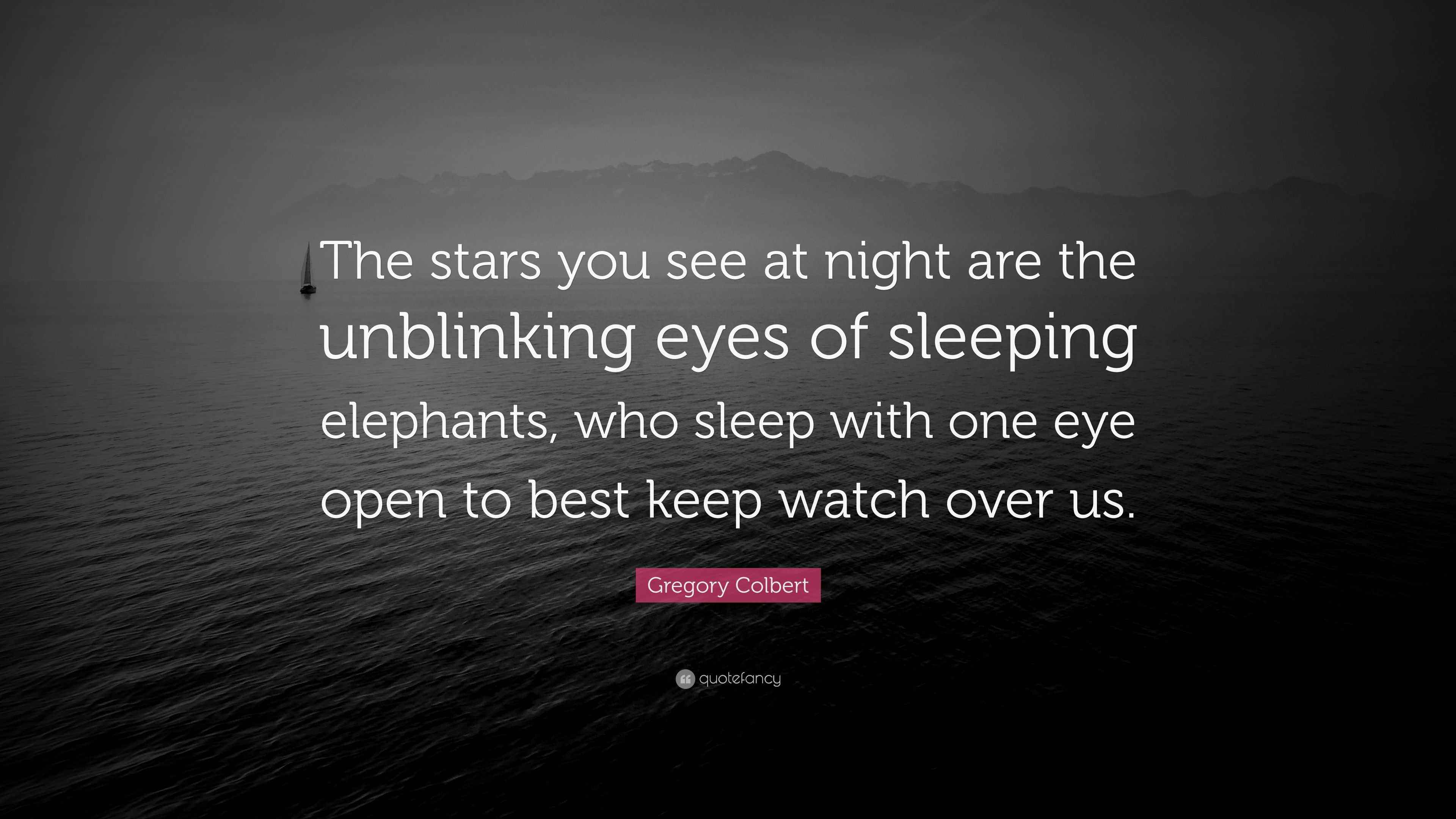 Gregory Colbert Quote: “The stars you see at night are the unblinking ...