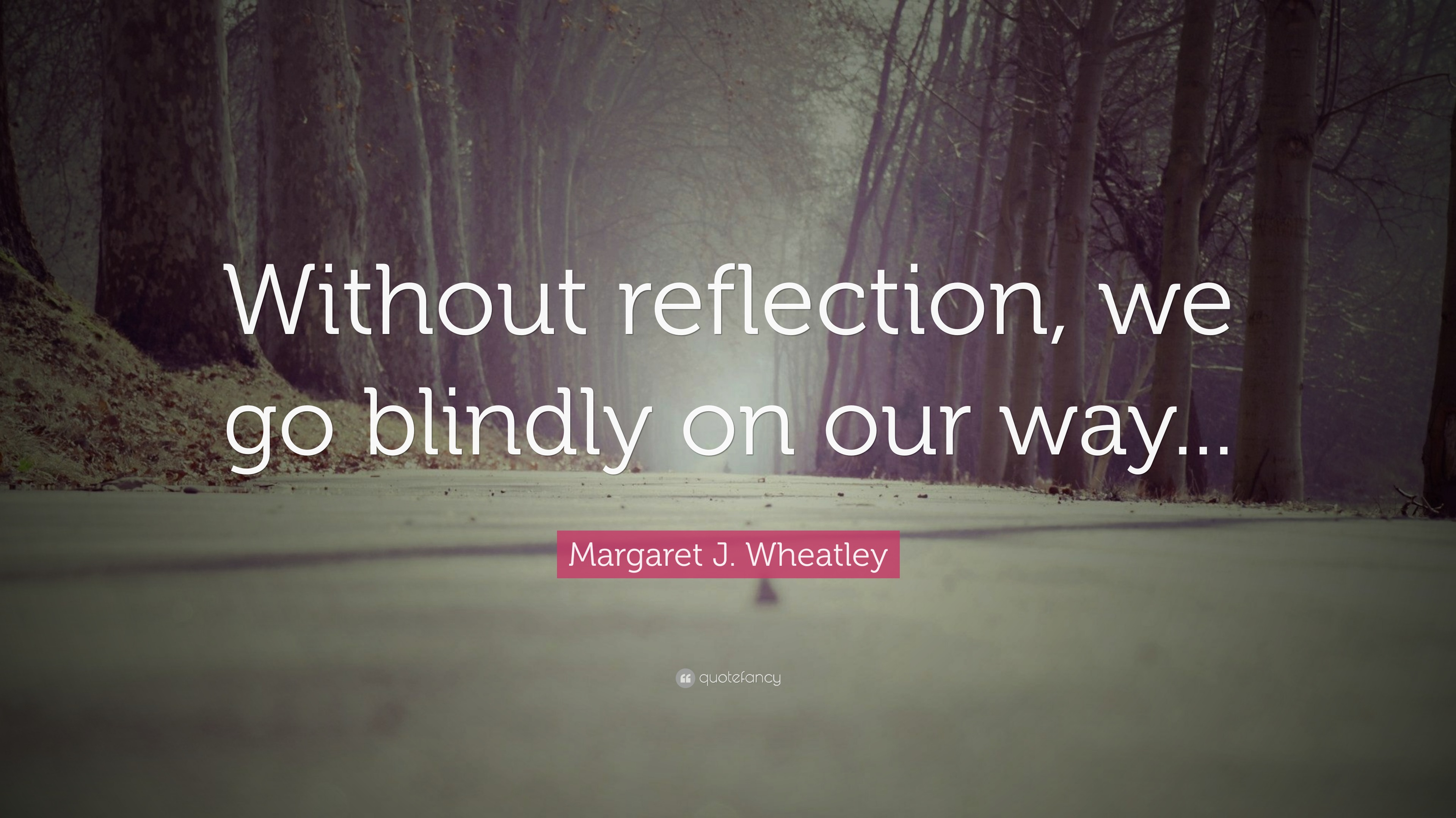 Margaret J. Wheatley Quote: “Without reflection, we go blindly on our ...