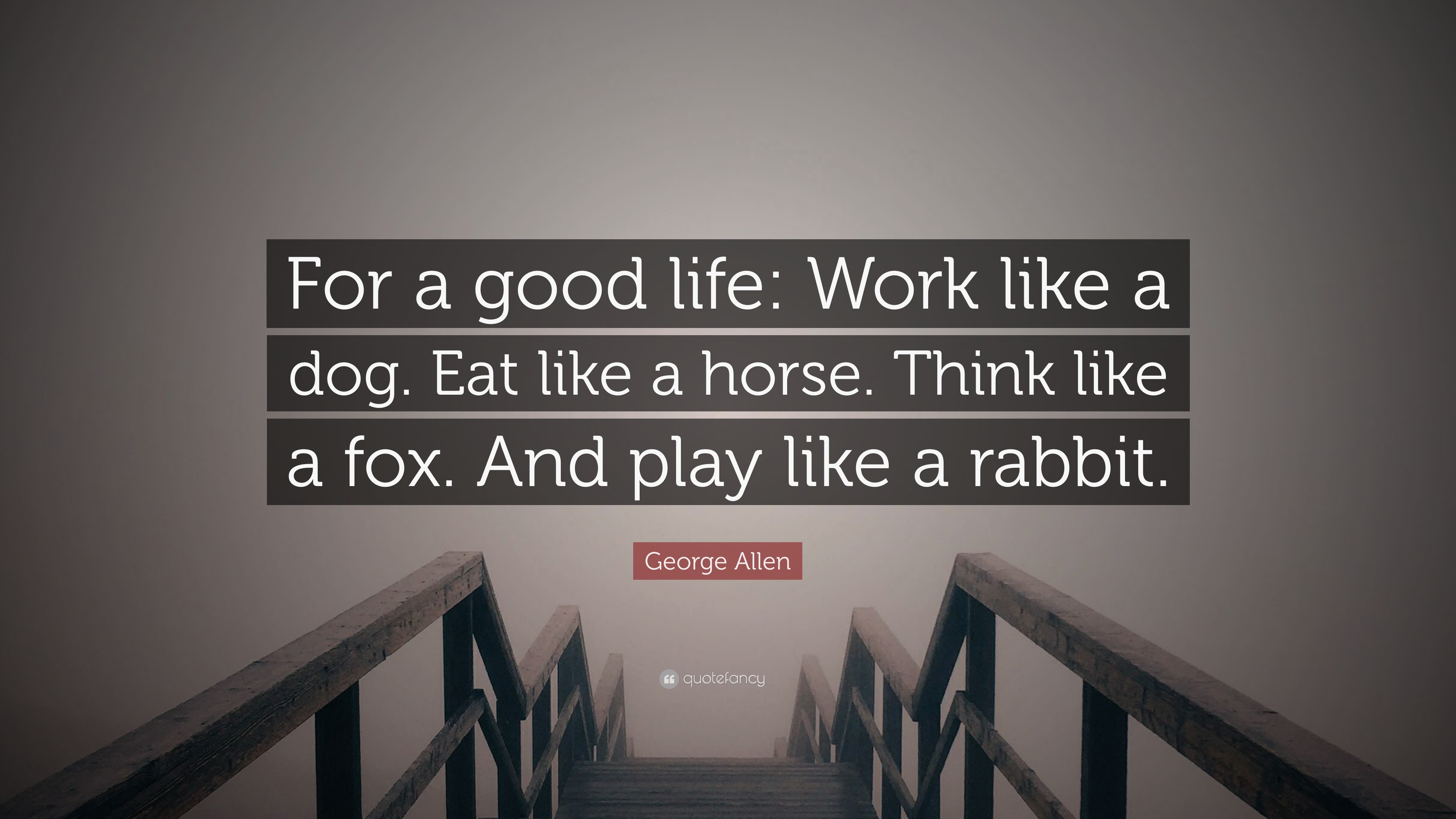 George Allen Quote: “For a good life: Work like a dog. Eat like a horse ...