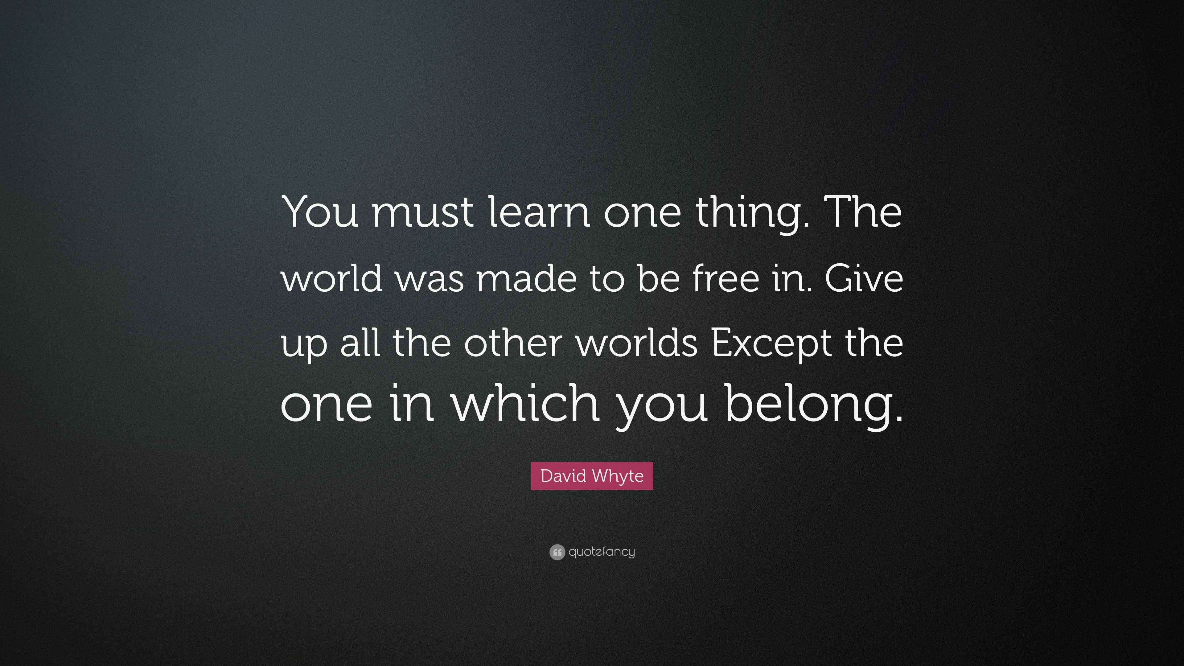 David Whyte Quote: “You must learn one thing. The world was made to be ...