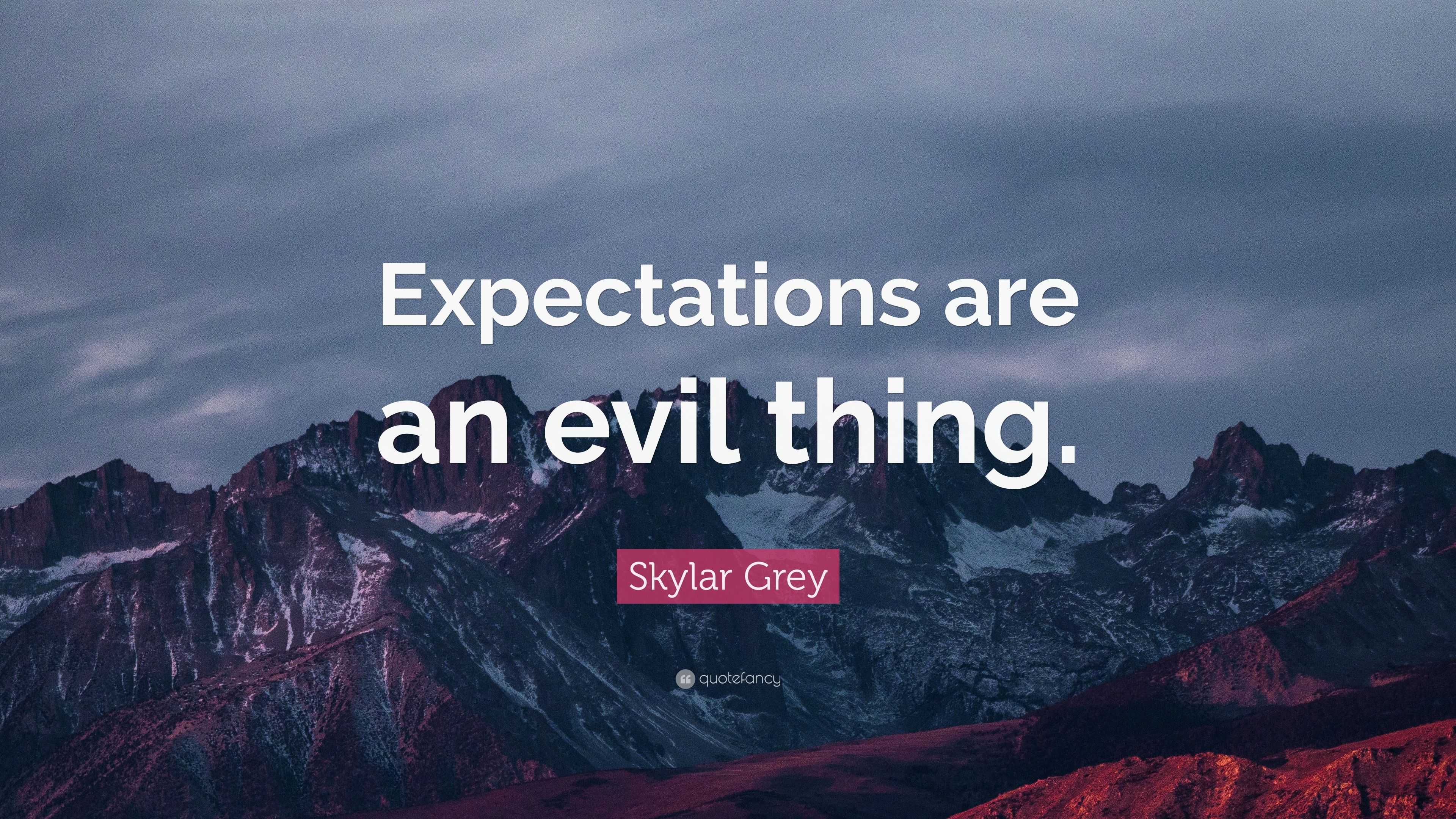 Skylar Grey Quote: “Expectations are an evil thing.”