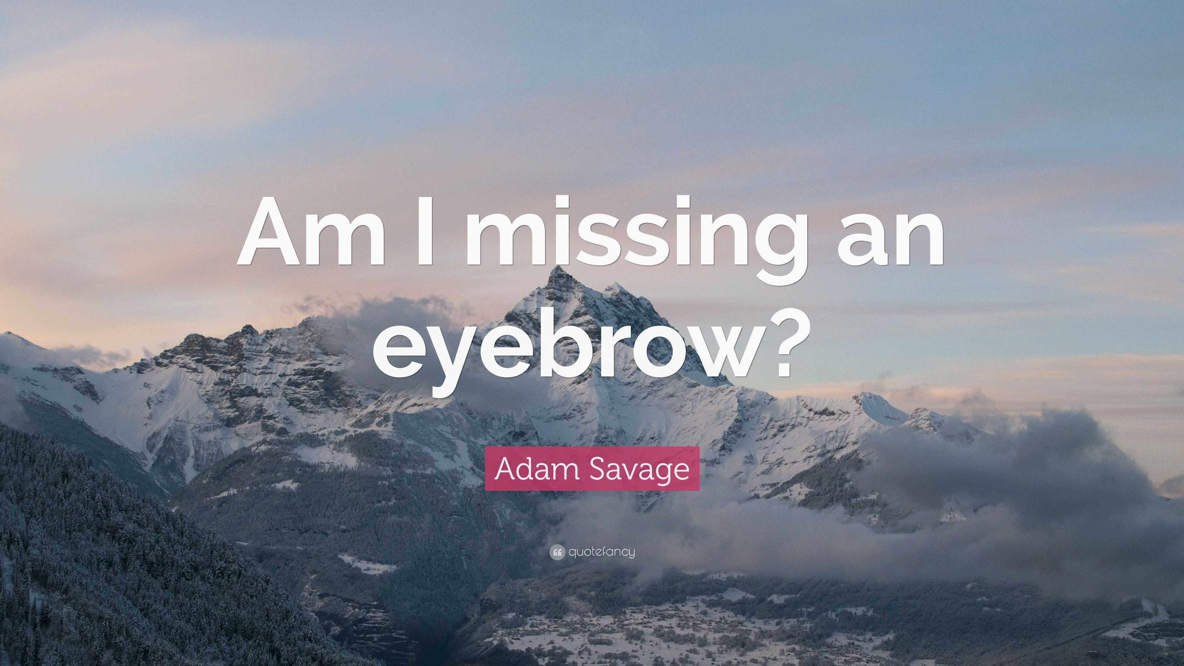 Adam Savage Quote: “Am I missing an eyebrow?”