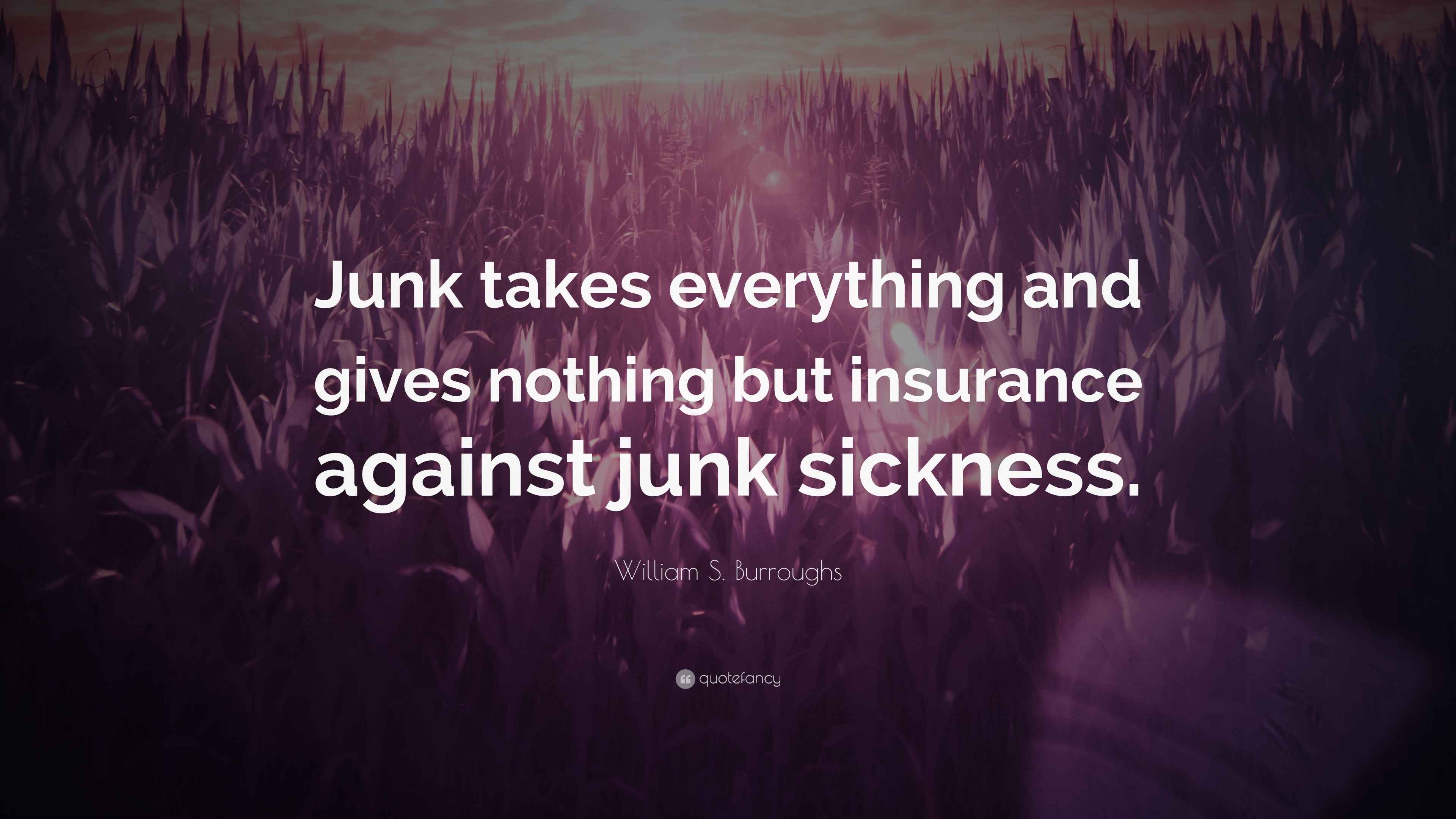 William S. Burroughs Quote: “Junk takes everything and gives nothing ...