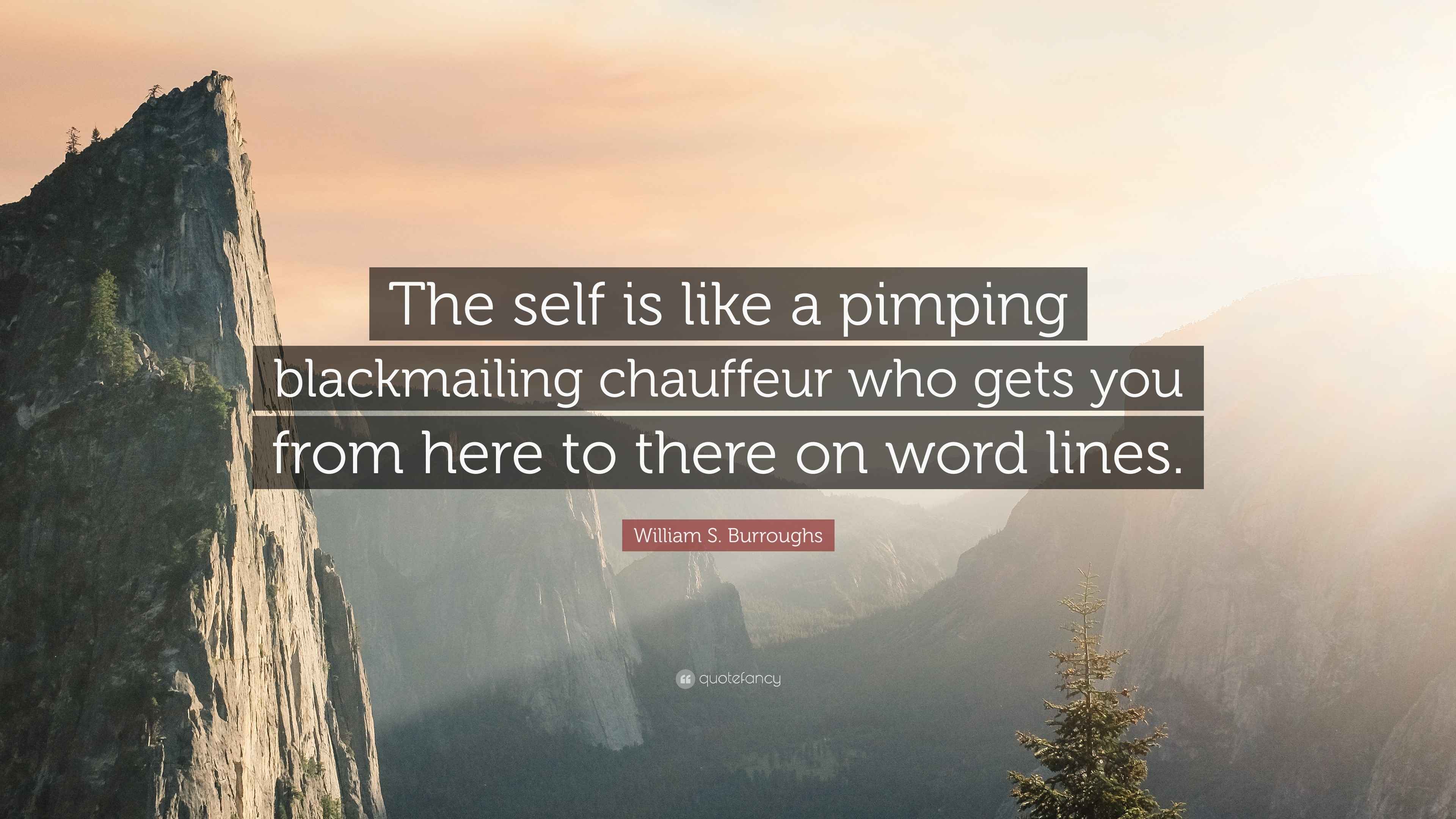 William S. Burroughs Quote: “The self is like a pimping blackmailing ...