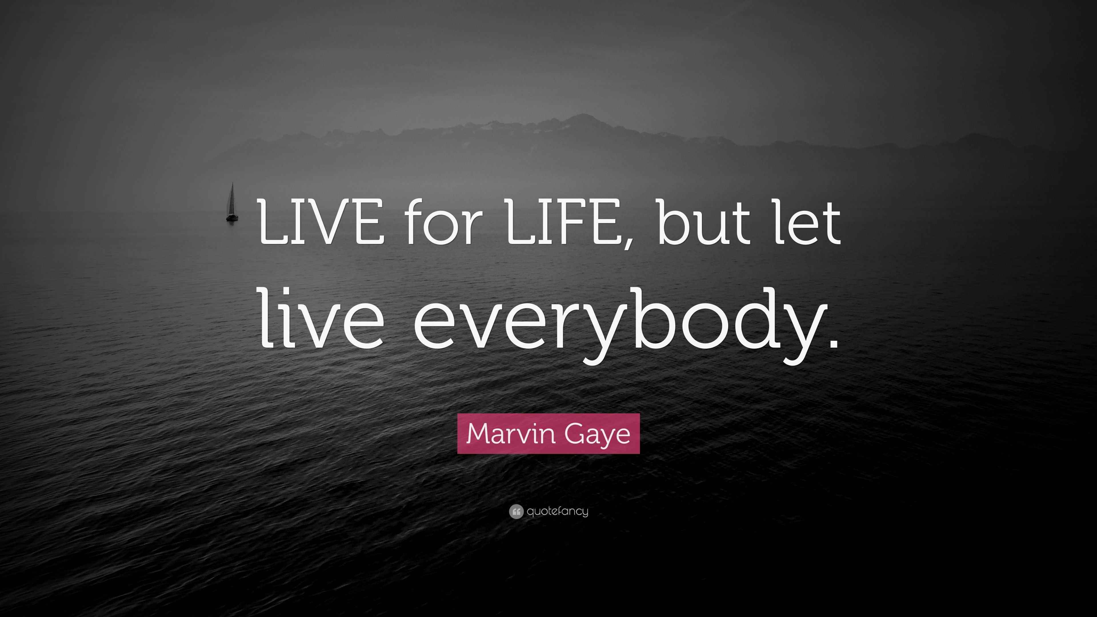 Marvin Gaye Quote: “LIVE for LIFE, but let live everybody.”
