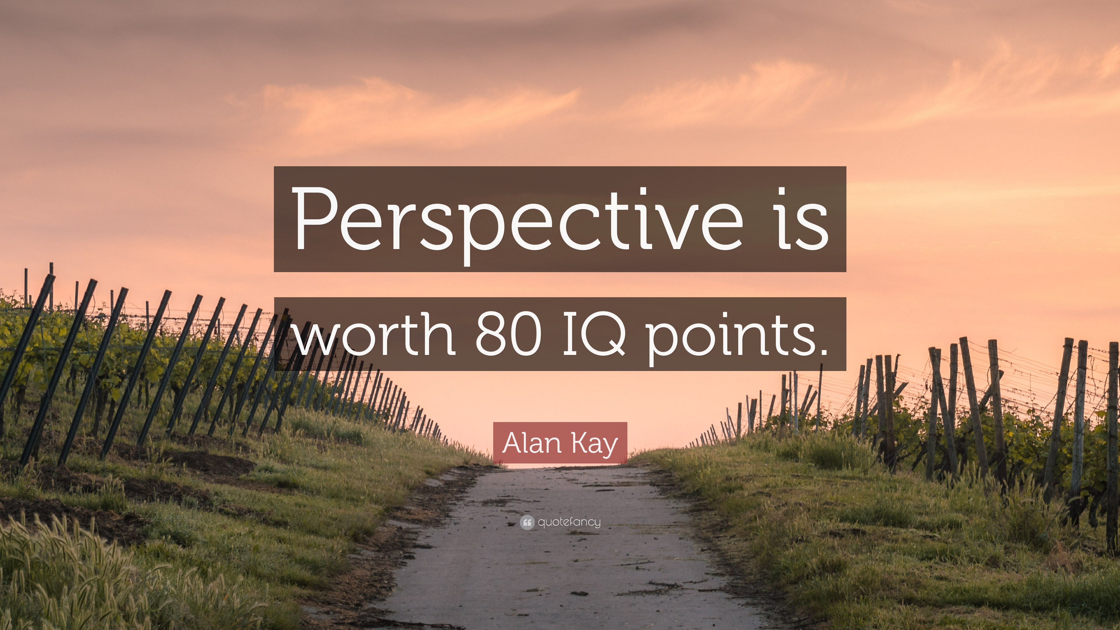 Alan Kay Quote: “Perspective is worth 80 IQ points.”