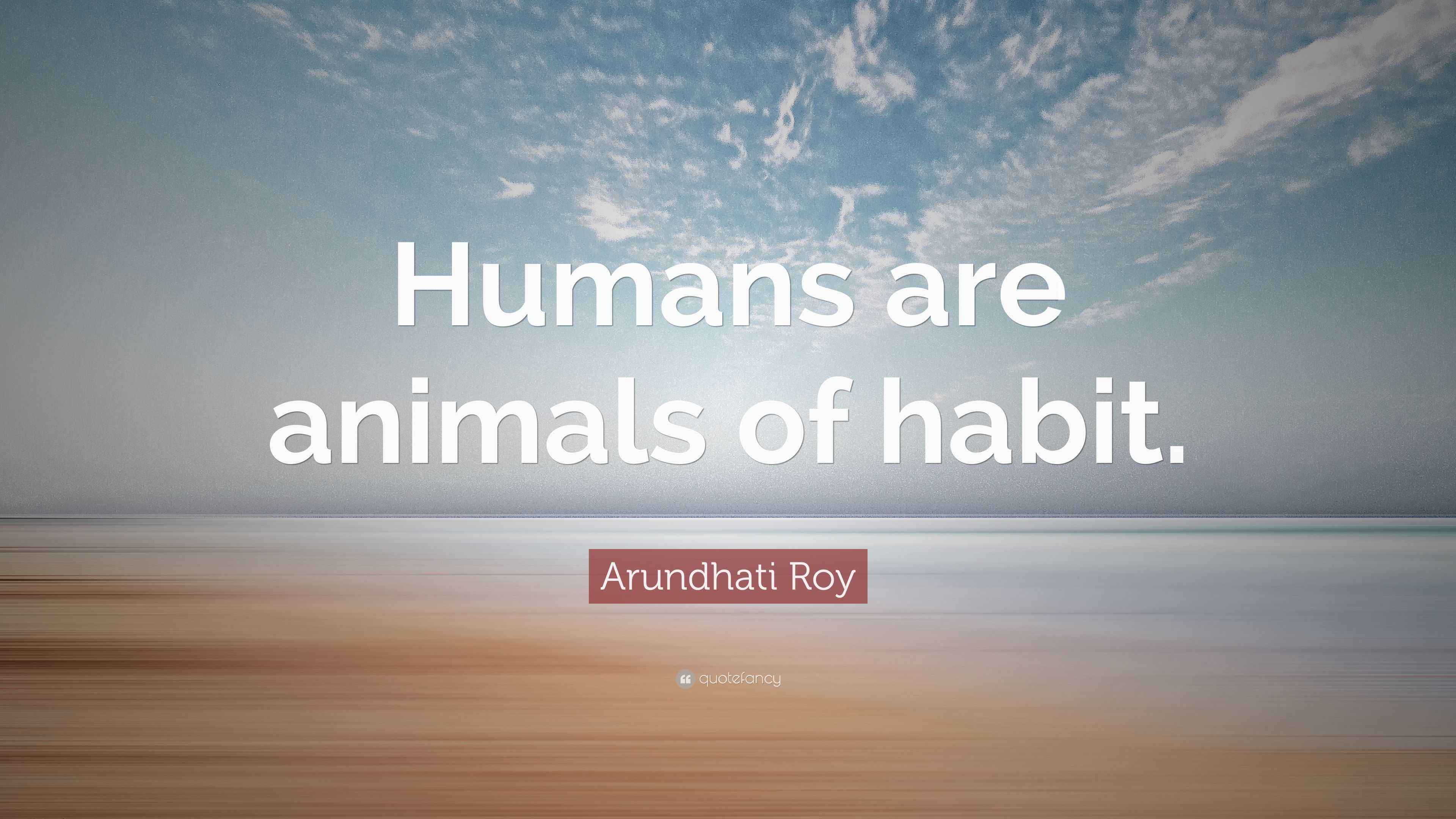 Arundhati Roy Quote: “Humans are animals of habit.”