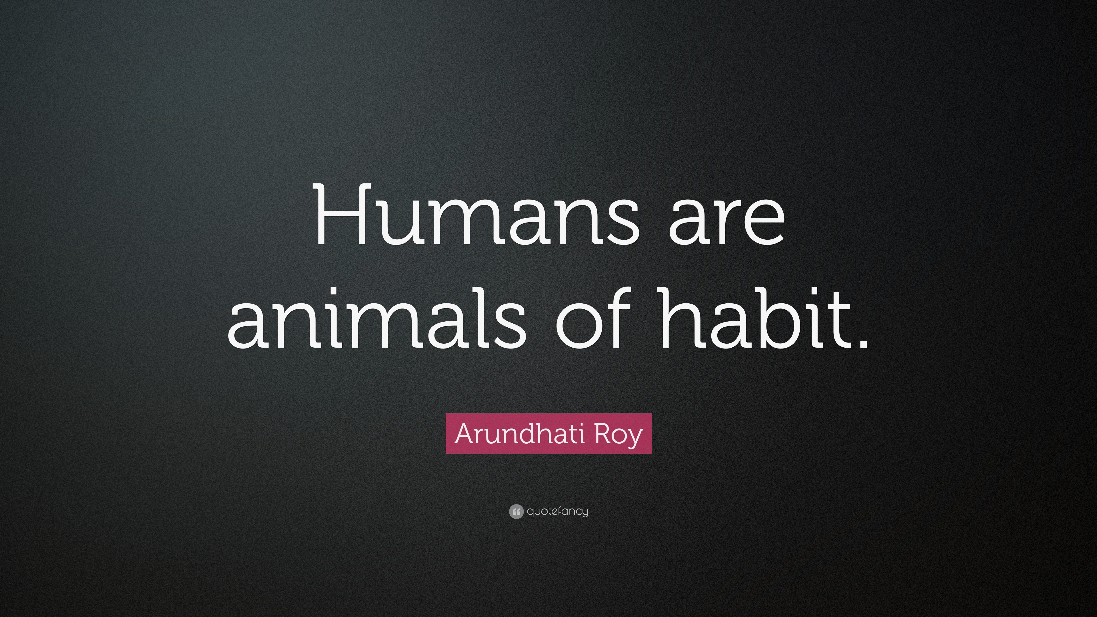 Arundhati Roy Quote: “Humans are animals of habit.”