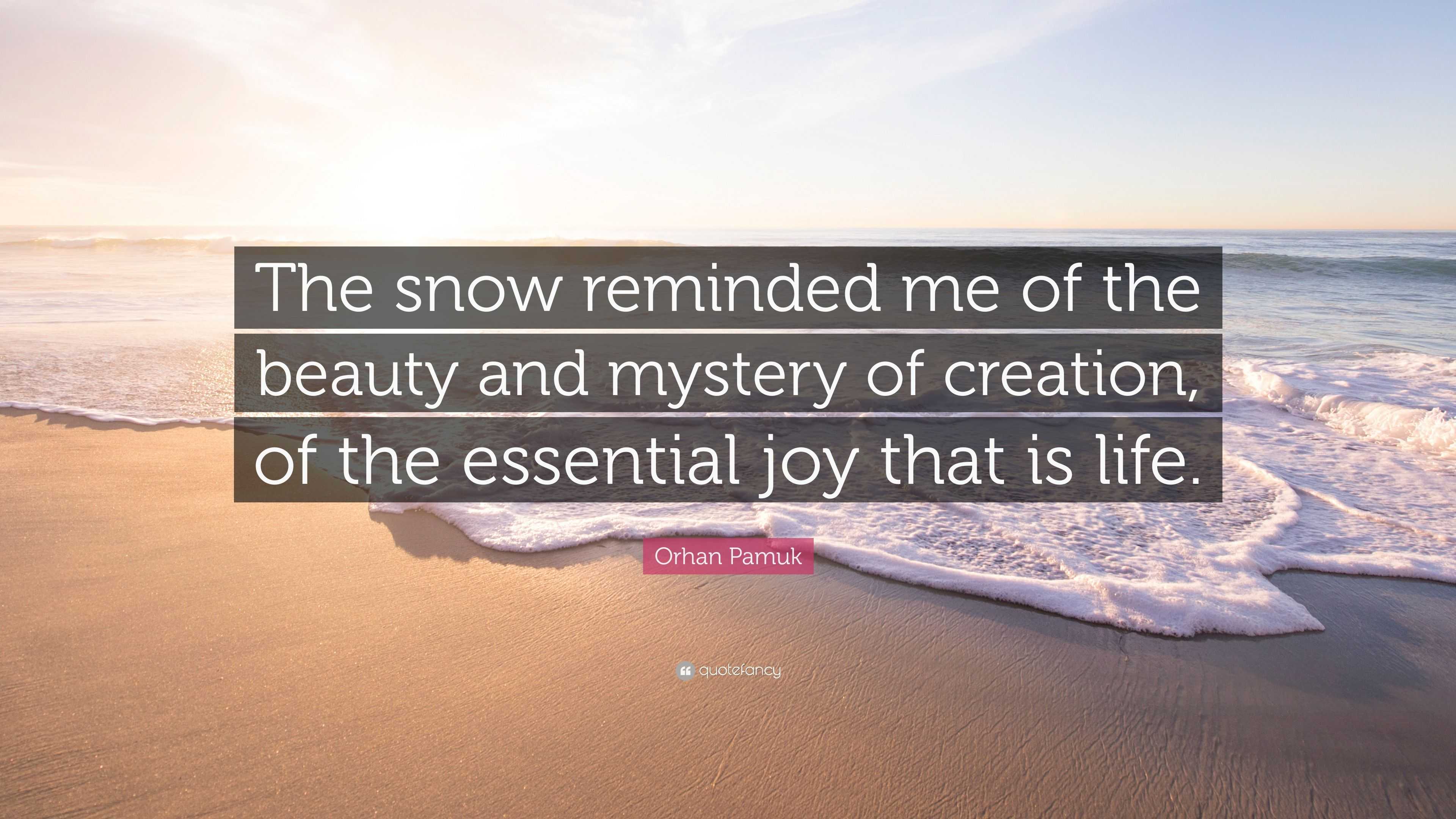 Orhan Pamuk Quote: “The snow reminded me of the beauty and mystery of ...