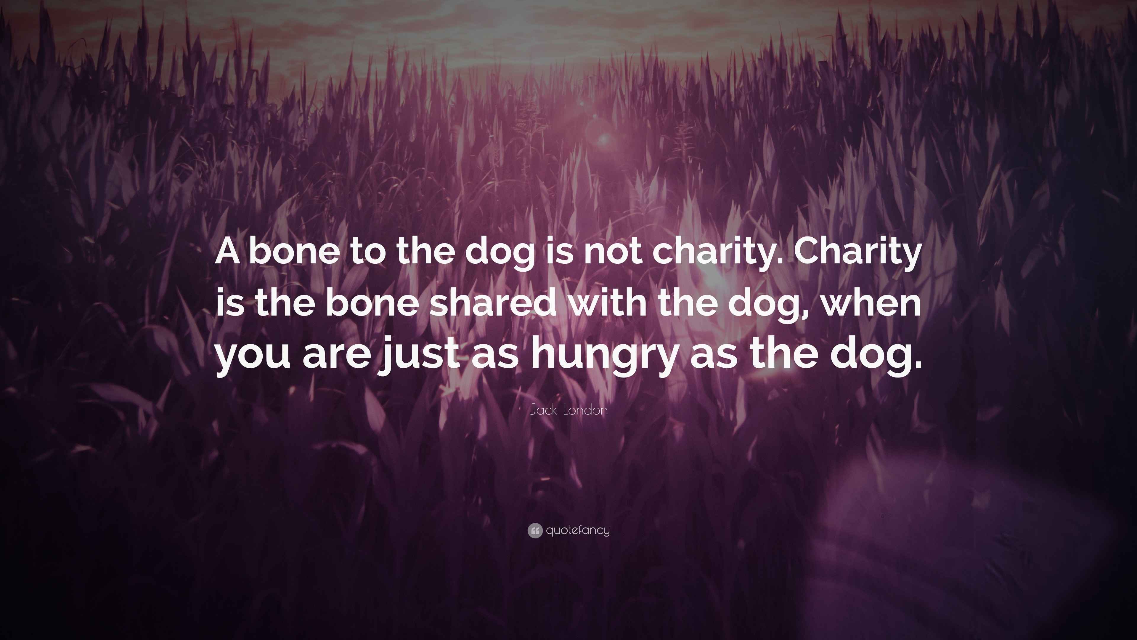 Jack London Quote: “A bone to the dog is not charity. Charity is the ...