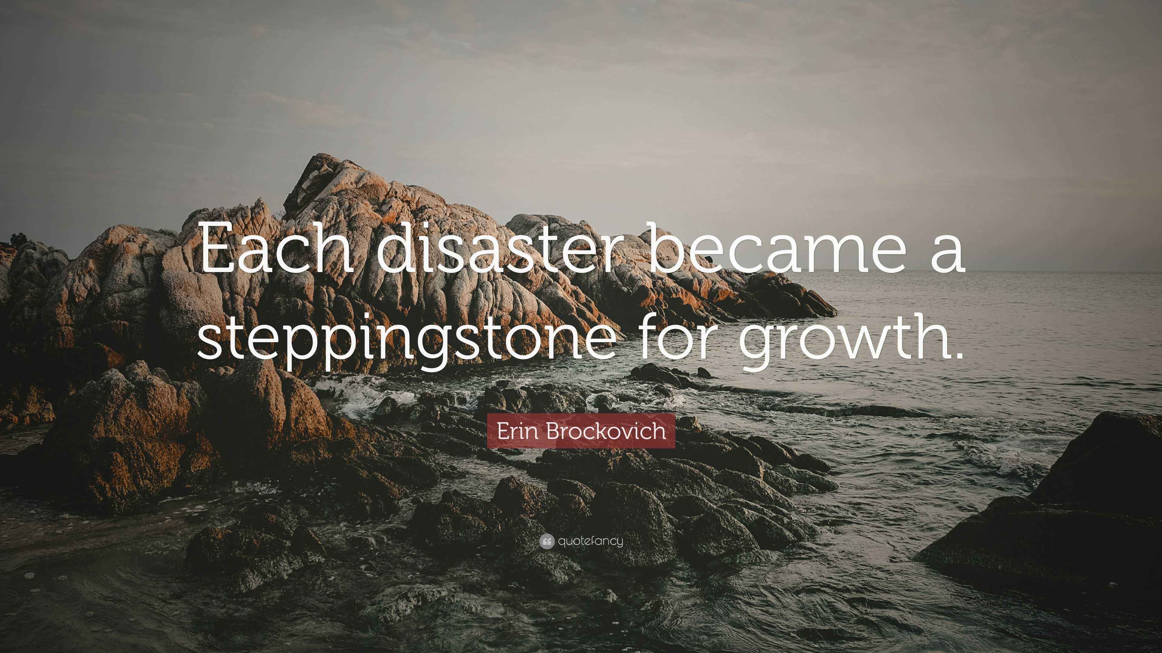 Erin Brockovich Quote: “Each disaster became a steppingstone for growth.”