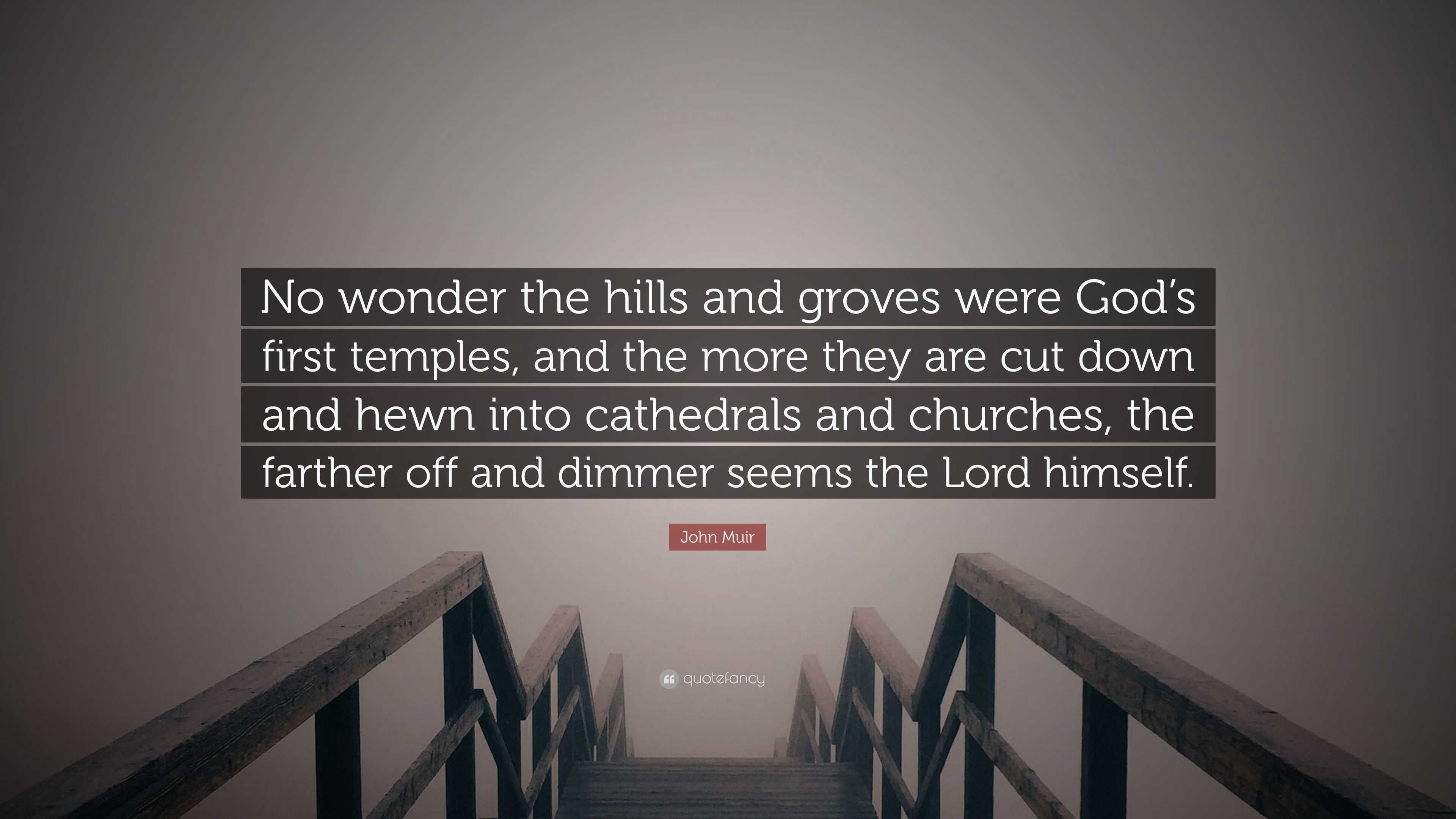 John Muir Quote: “No wonder the hills and groves were God’s first ...
