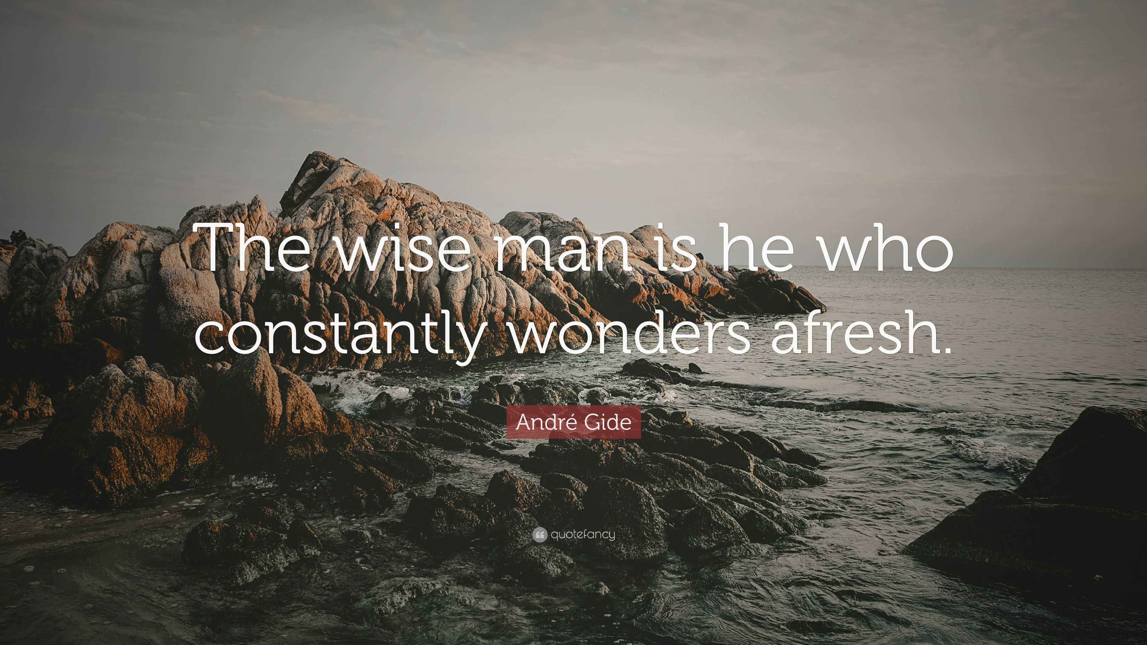 André Gide Quote: “The wise man is he who constantly wonders afresh.”