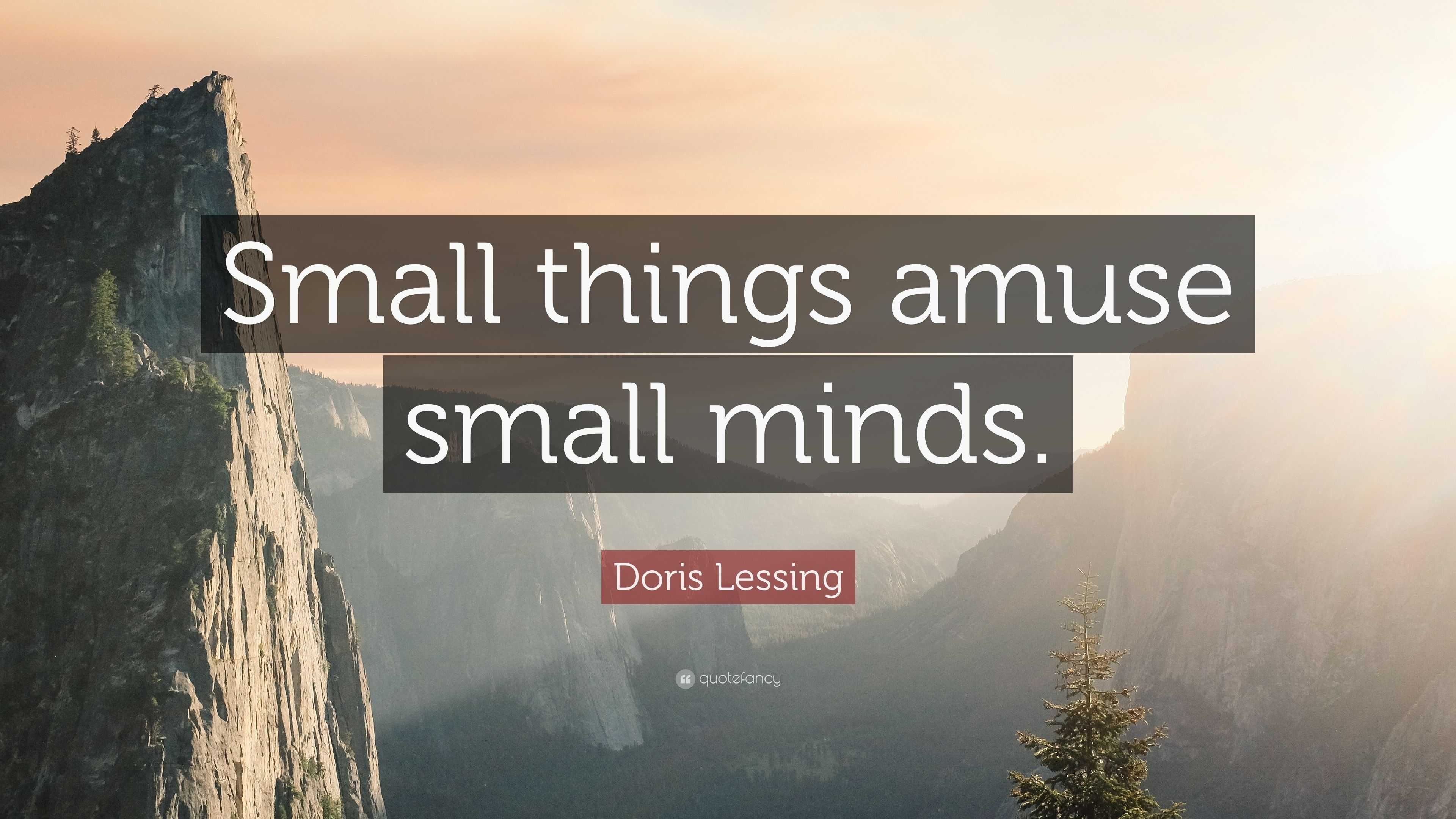 Doris Lessing Quote: “Small things amuse small minds.”