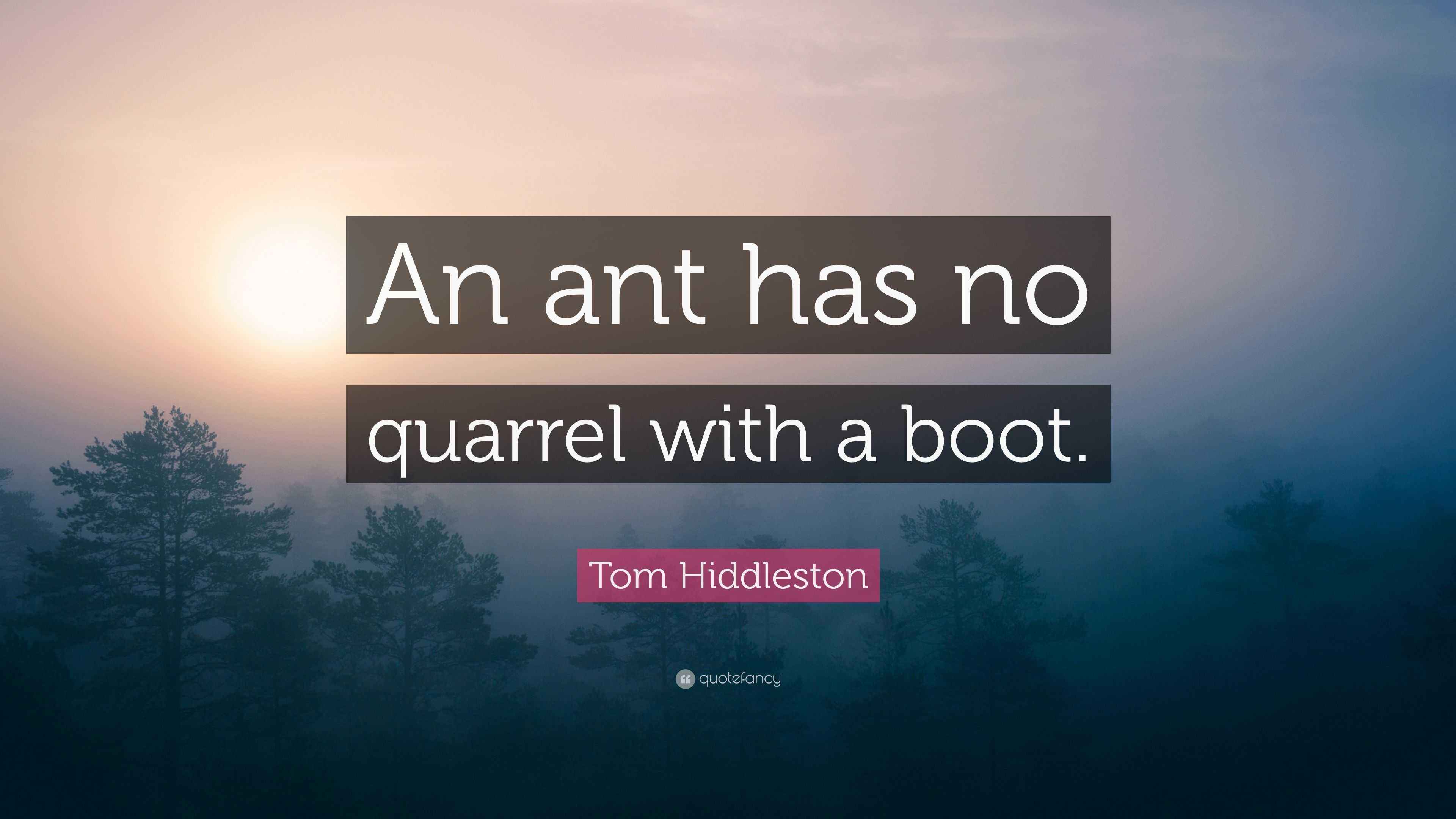 Tom Hiddleston Quote: “An ant has no quarrel with a boot.”