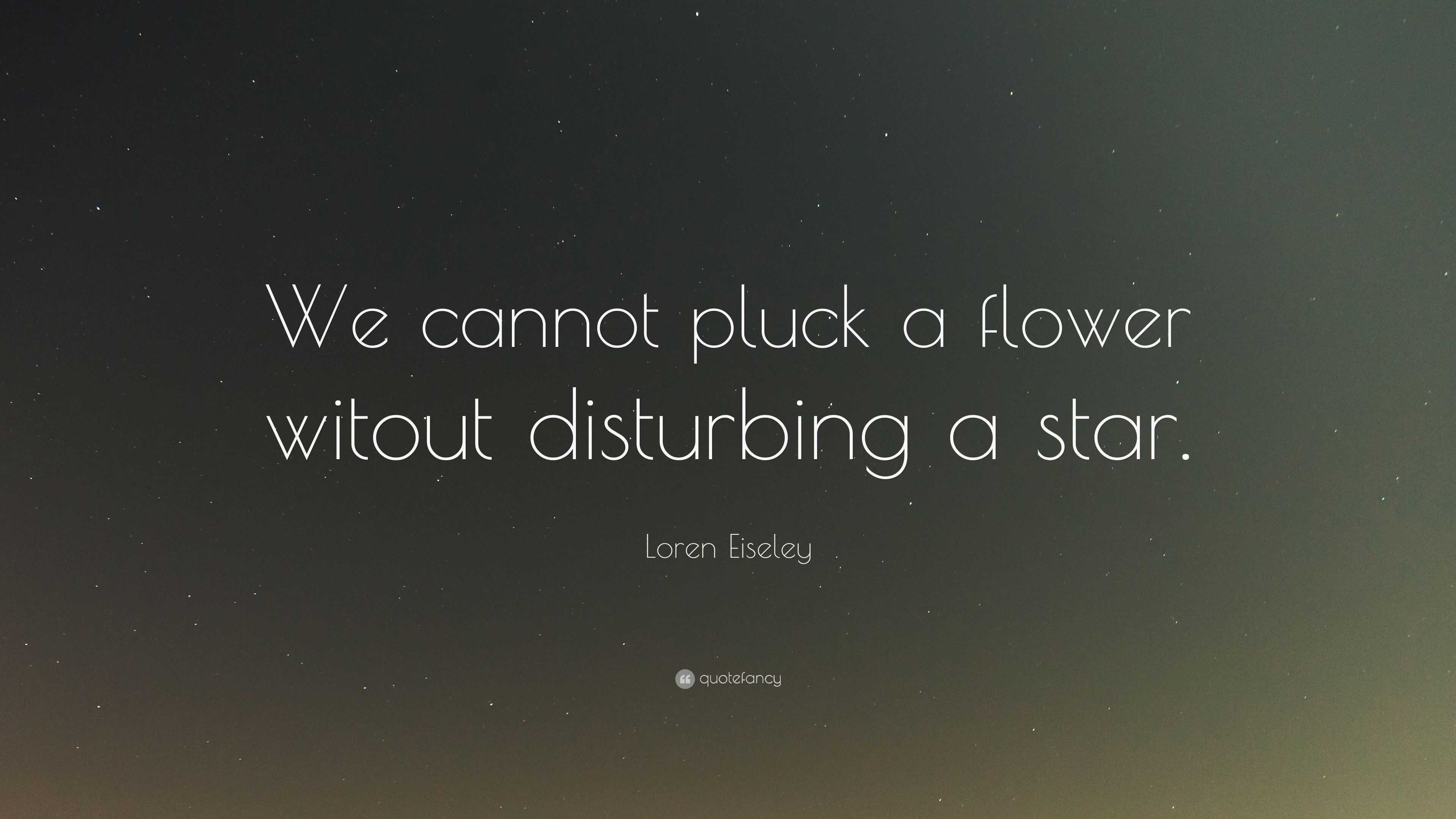 Loren Eiseley Quote: “We cannot pluck a flower witout disturbing a star.”