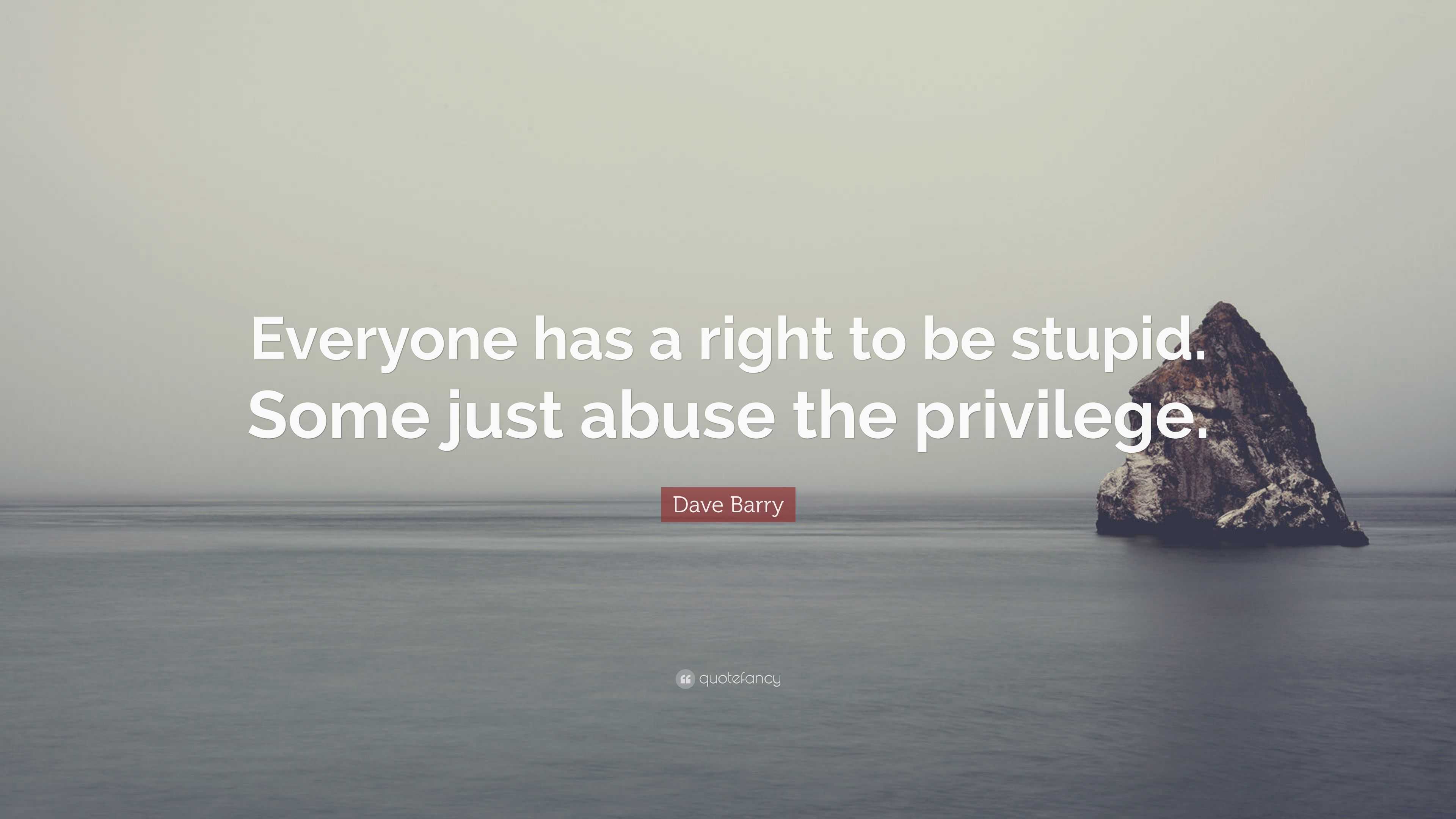 Dave Barry Quote: “Everyone has a right to be stupid. Some just abuse ...